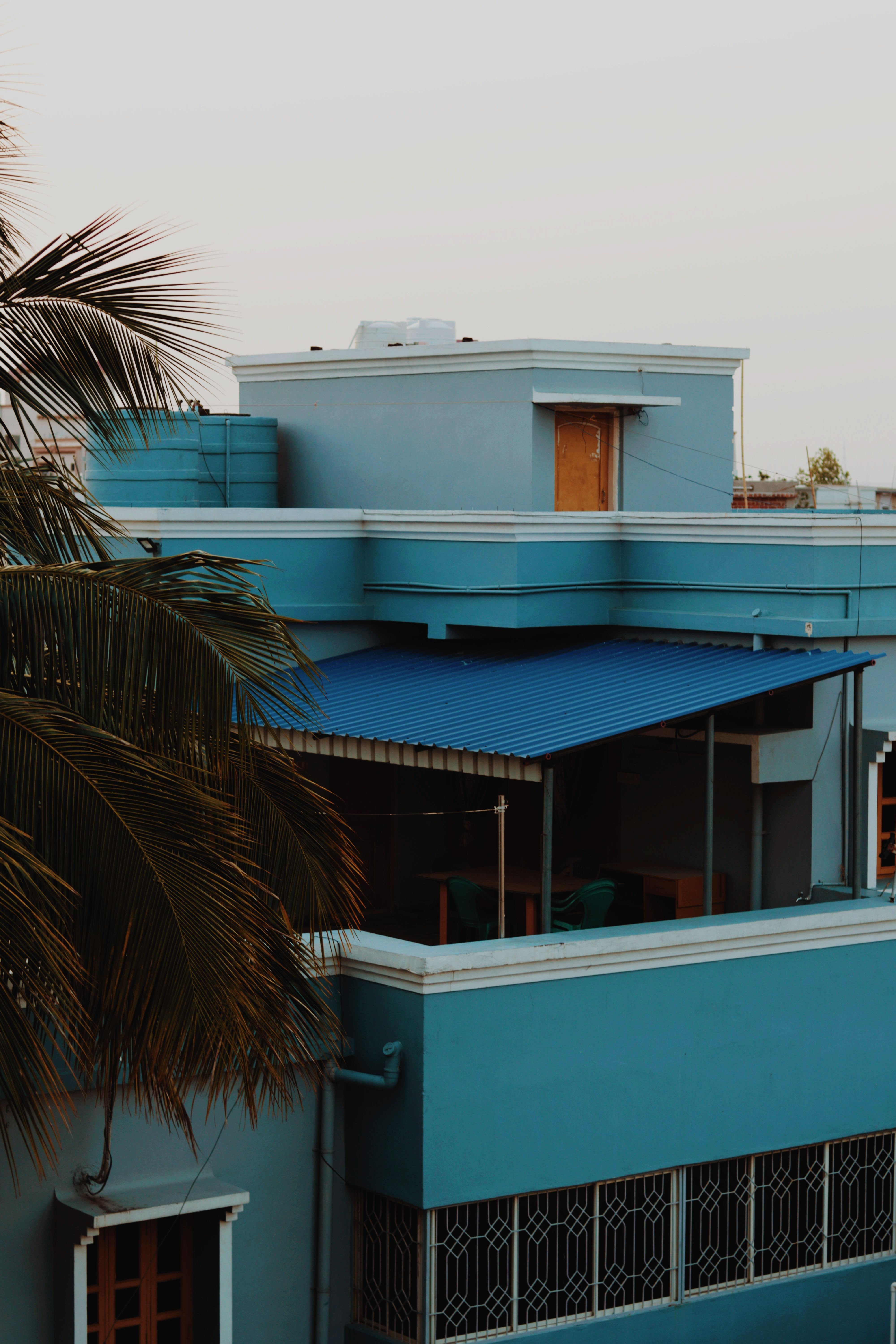 A blue building with a blue roof and palm trees · Free Stock Photo
