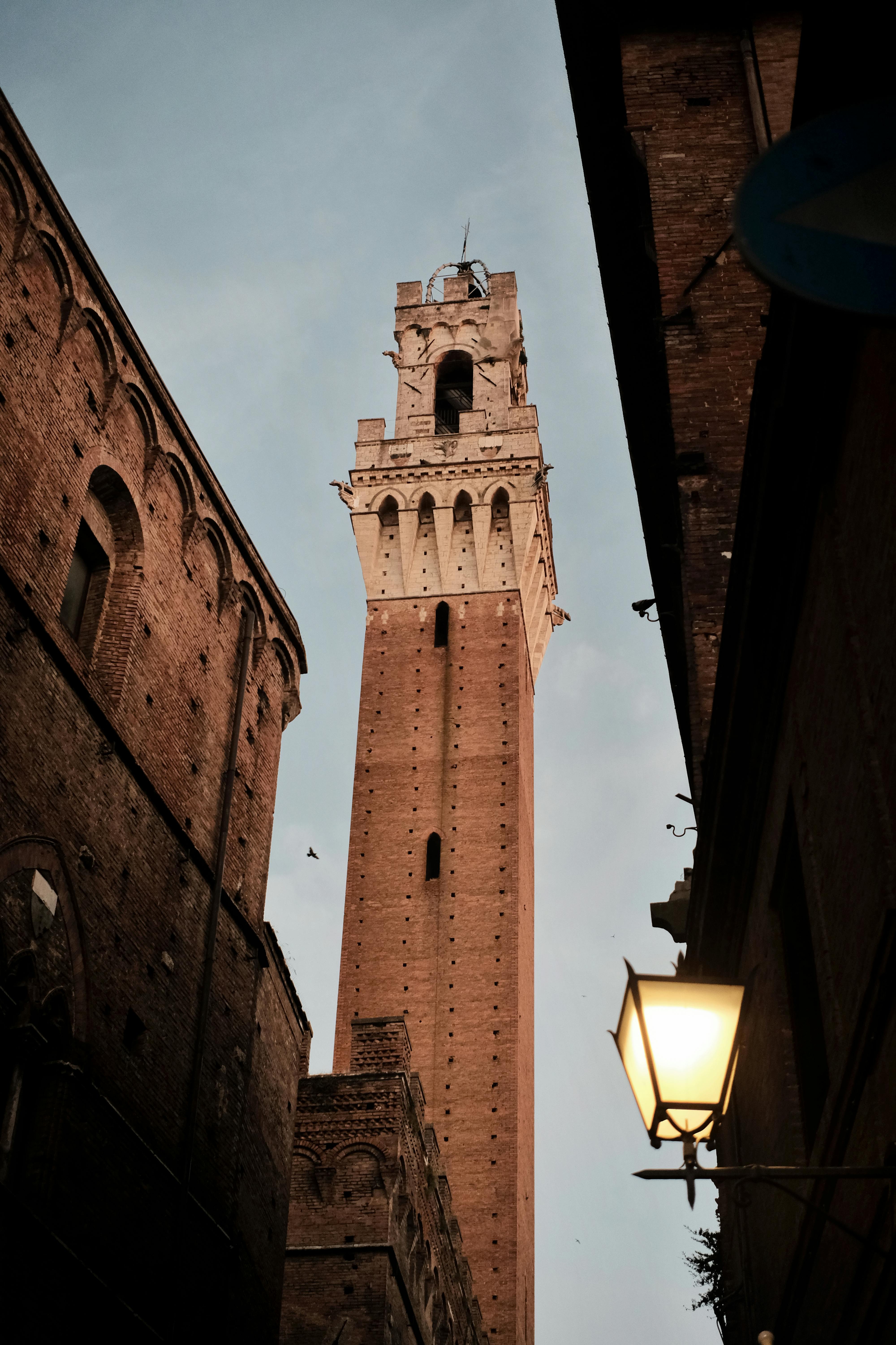 Tower in Siena · Free Stock Photo