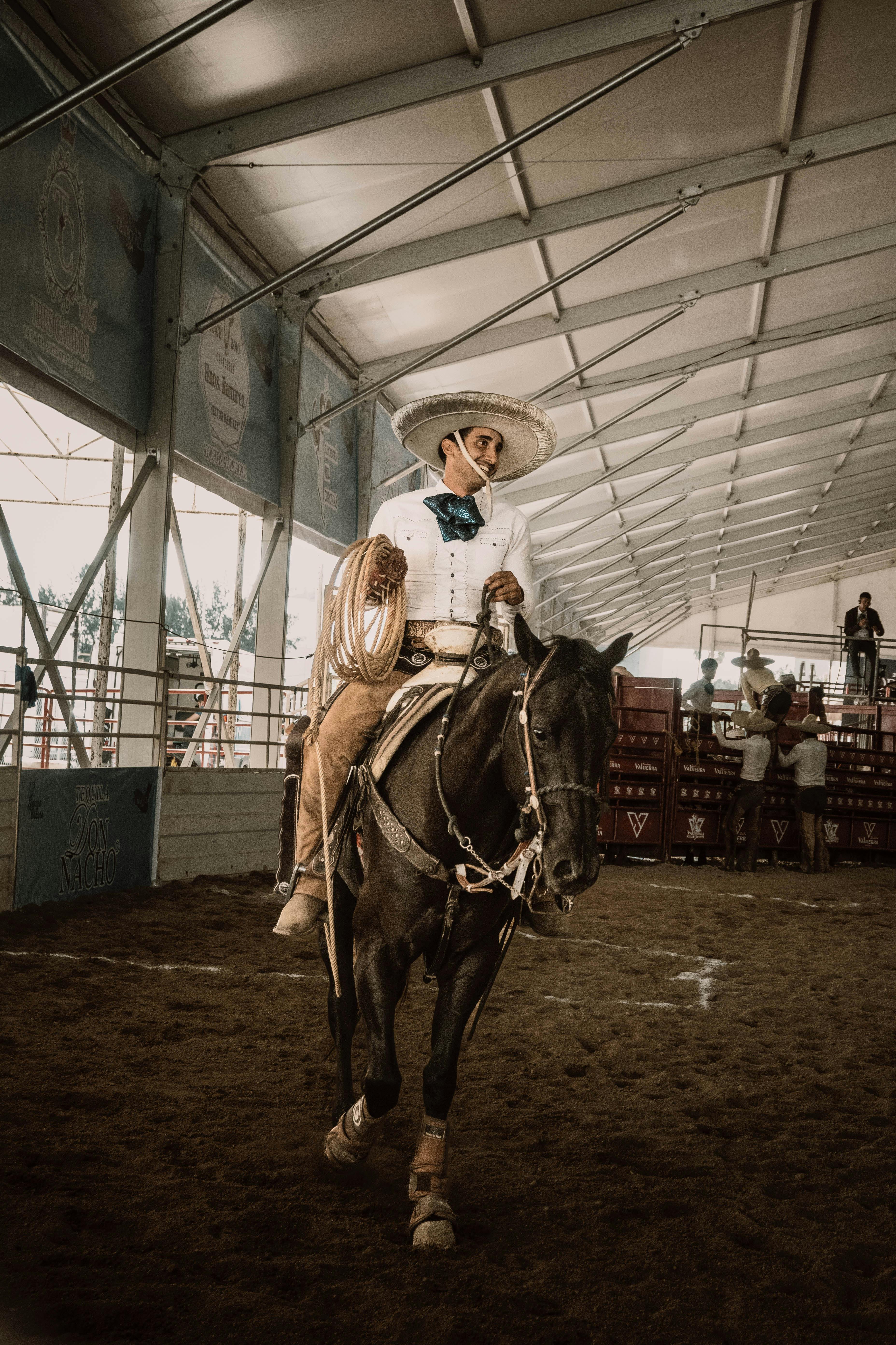 Foto de stock gratuita sobre américa del norte, anfiteatro, arena de ...