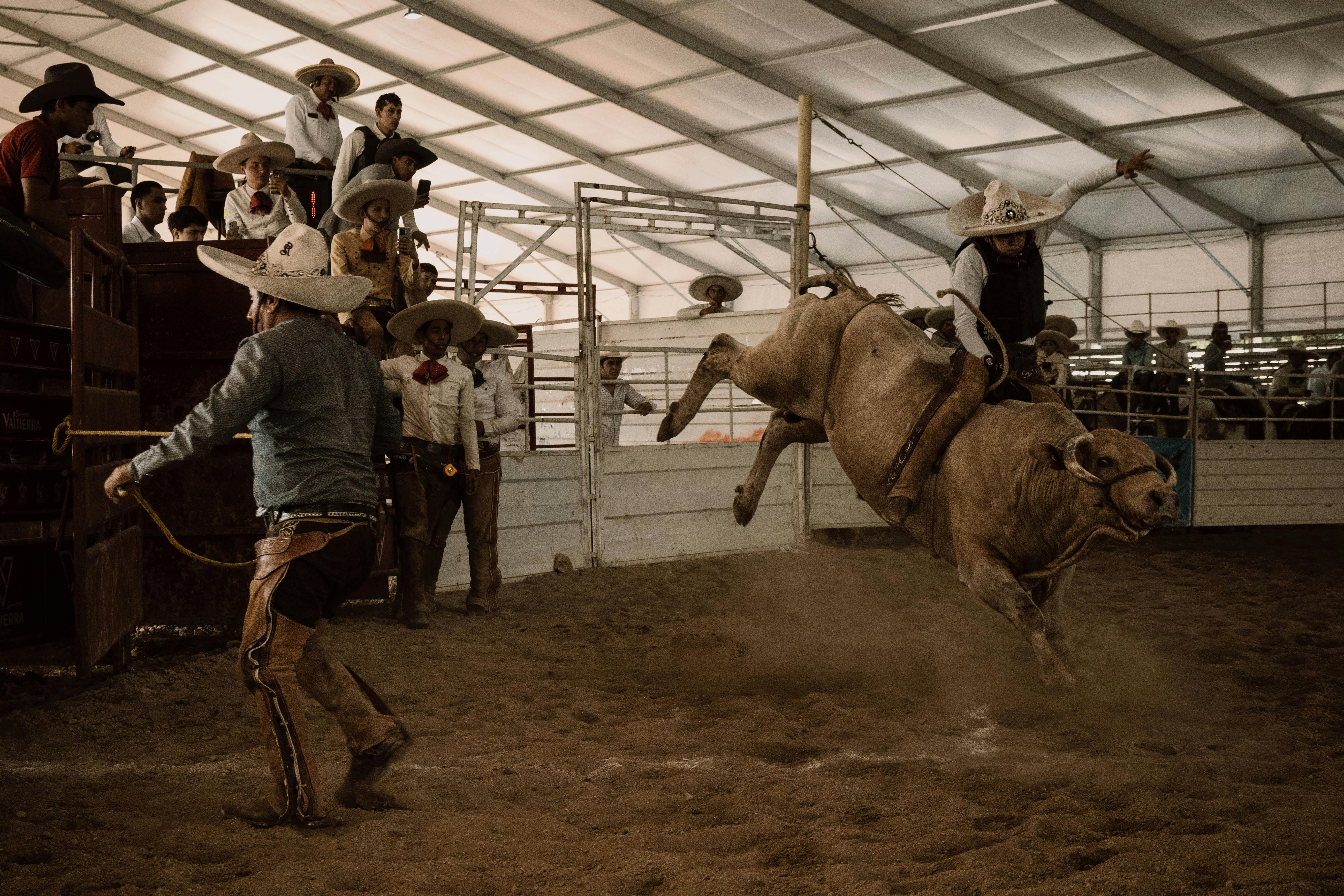 Bull Riding Photos, Download The BEST Free Bull Riding Stock Photos ...