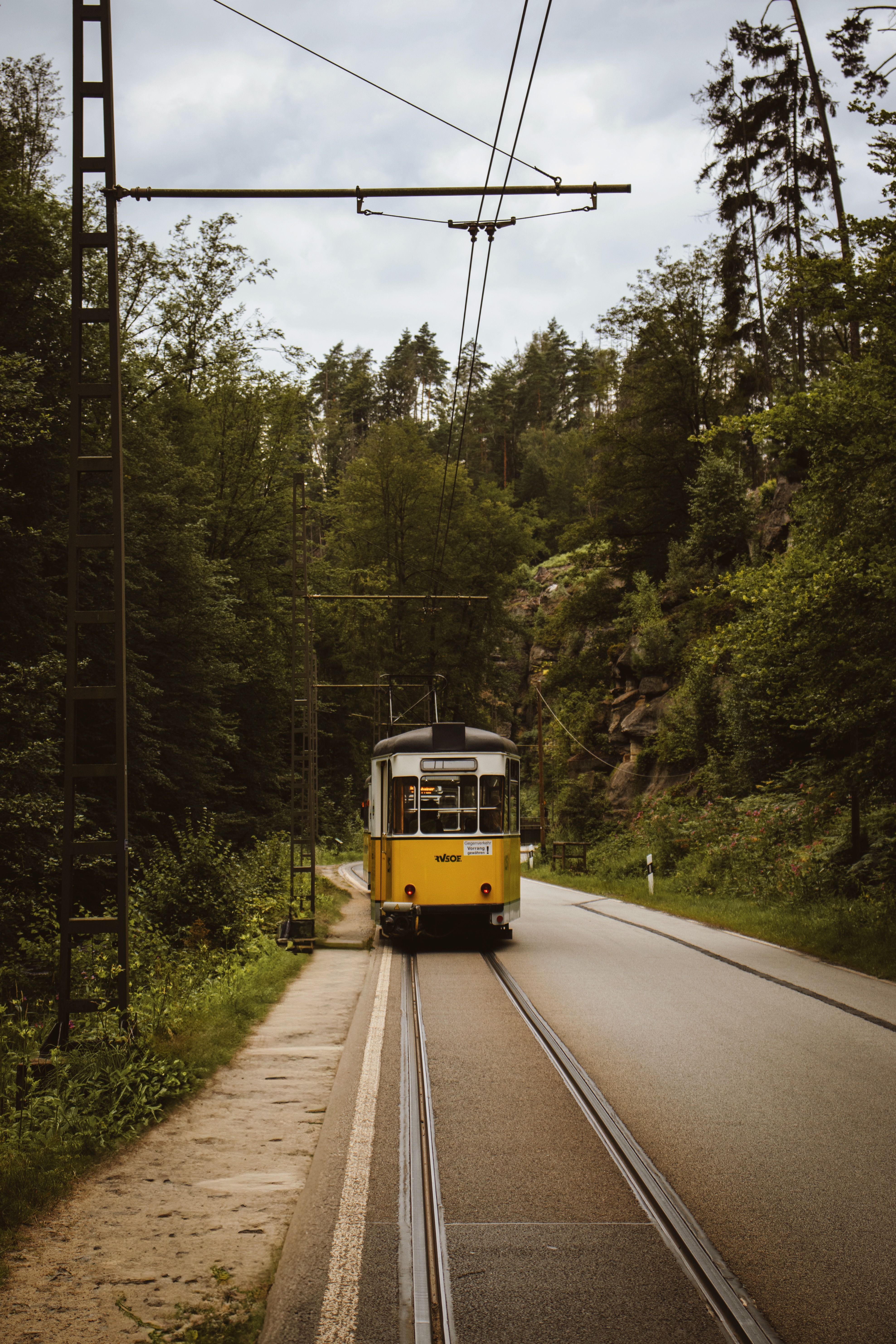 A yellow tram traveling down a road in the woods · Free Stock Photo