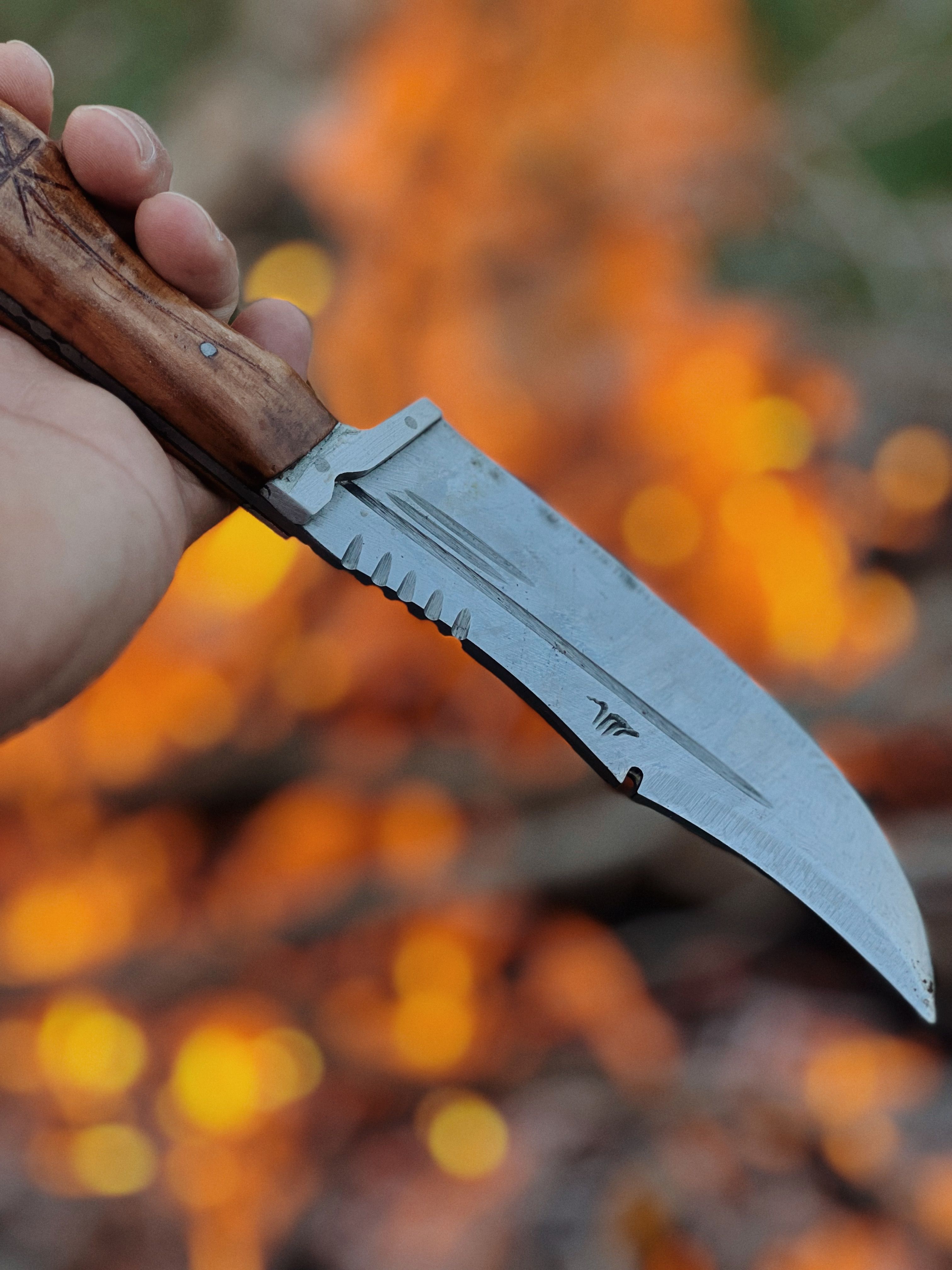 Fire Blades Photos, Download The BEST Free Fire Blades Stock Photos ...