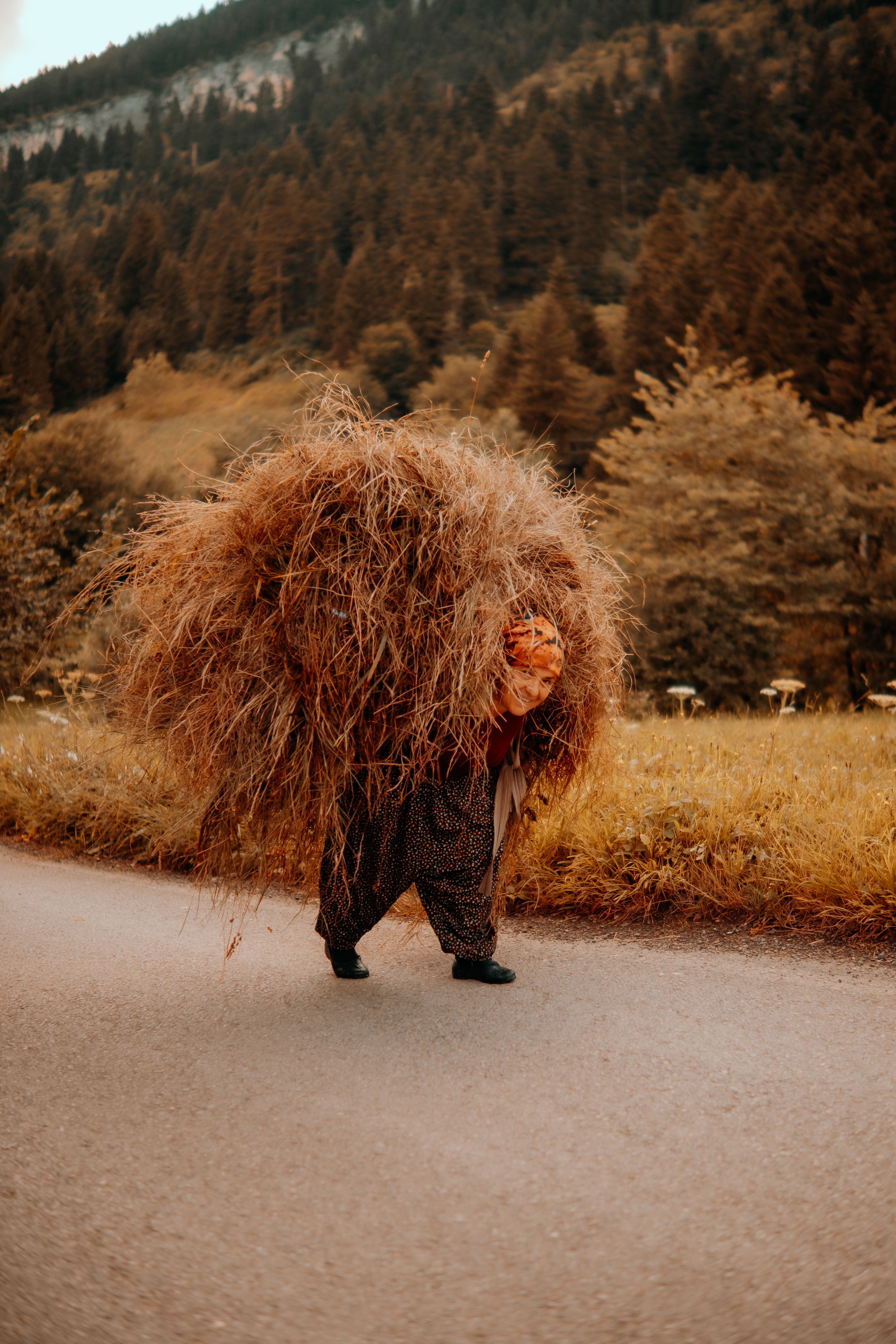 A Woman Carrying Hay on Her Back · Free Stock Photo