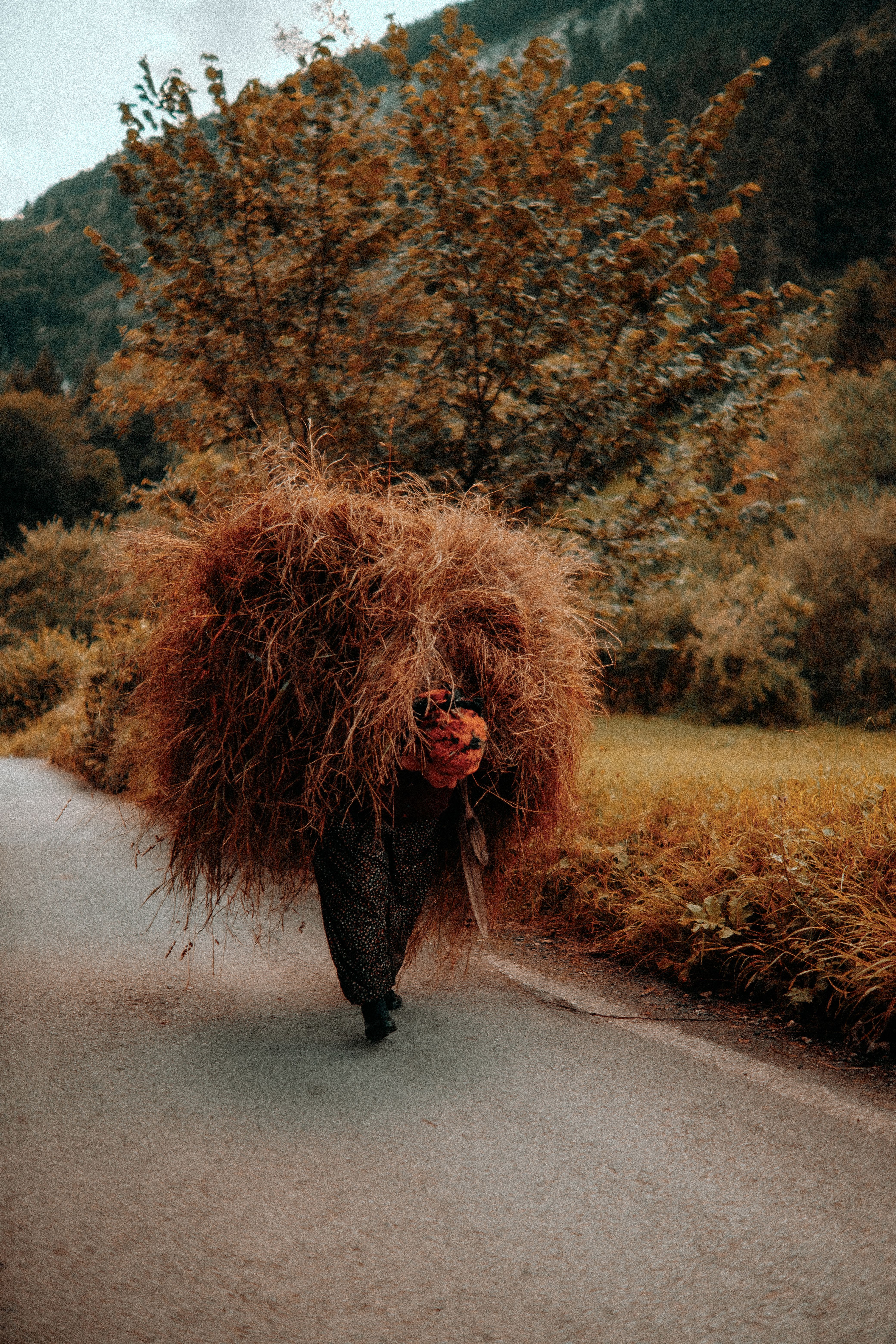Person Carrying Hay in Countryside · Free Stock Photo