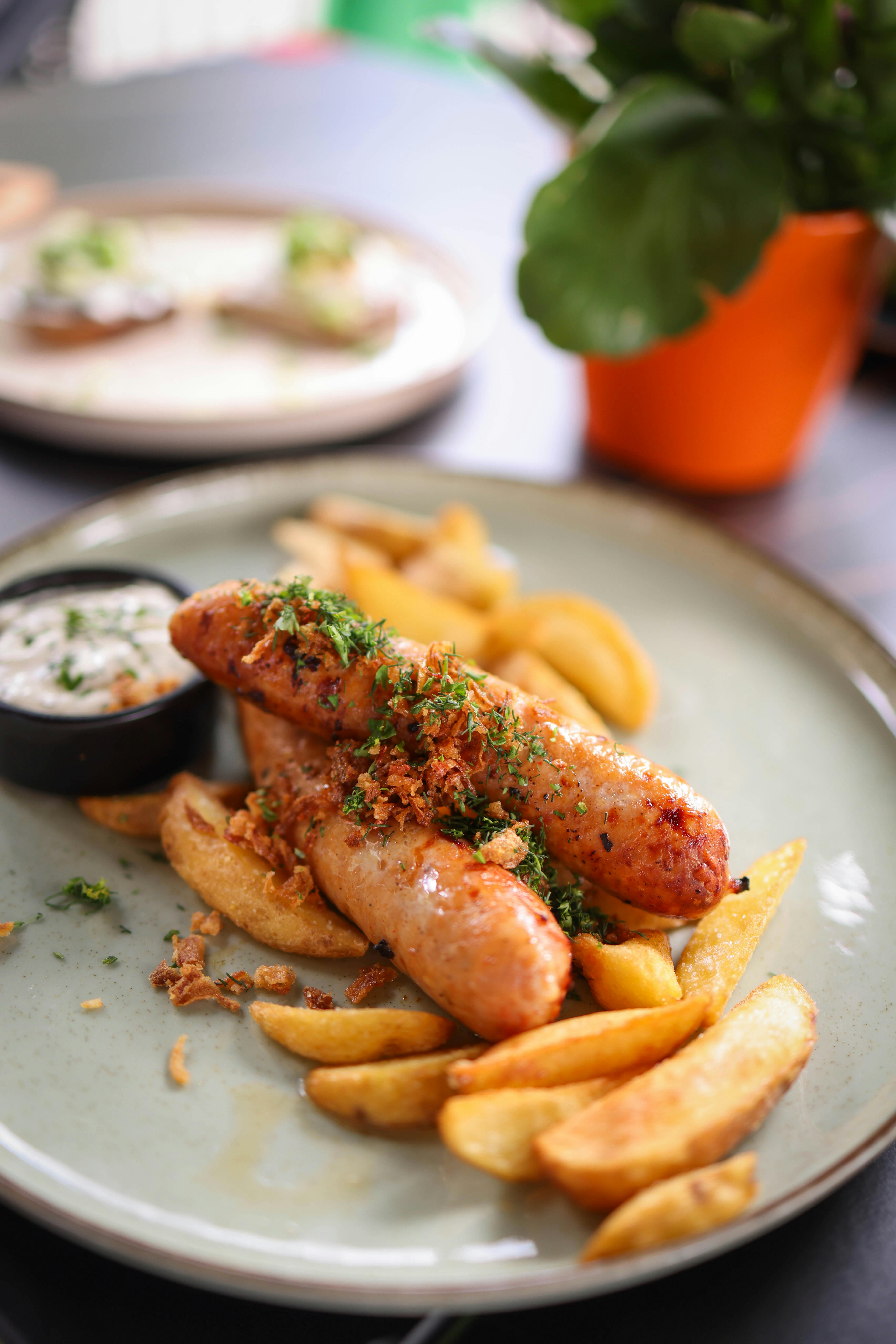 Plate Of Food Photos, Download The BEST Free Plate Of Food Stock Photos ...