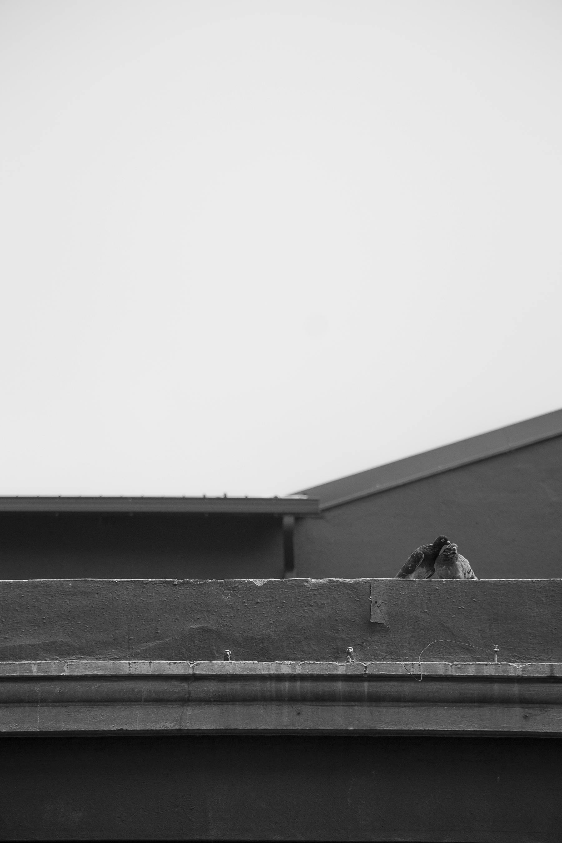 Abstract African Art Photos, Download The BEST Free Abstract African ...