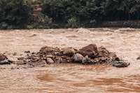 Free Stock Photos, Royalty Free Stock Images & Copyright Free Pictures ...