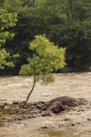 Free Stock Photos, Royalty Free Stock Images & Copyright Free Pictures ...