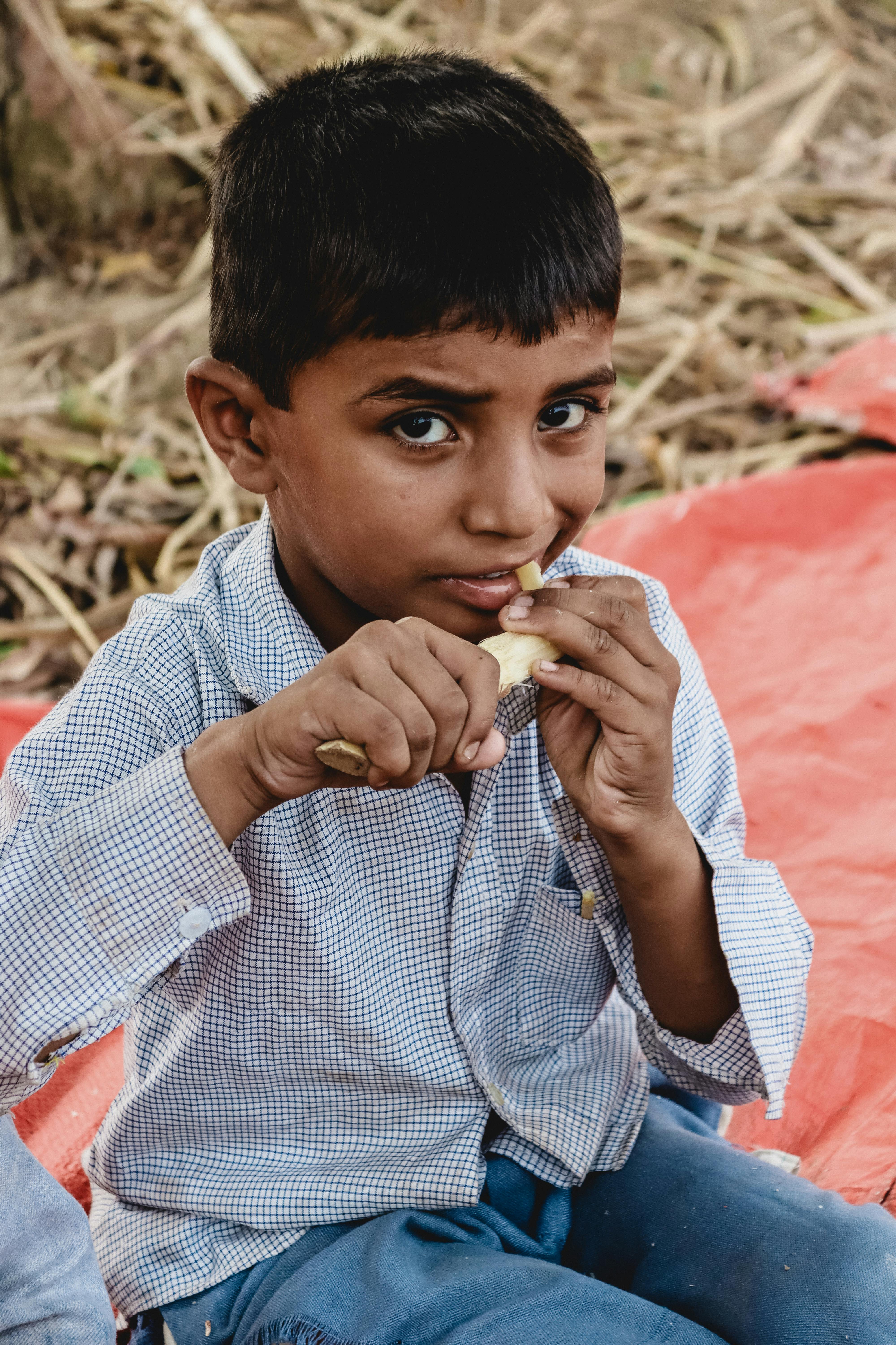 A young boy eating a piece of food · Free Stock Photo