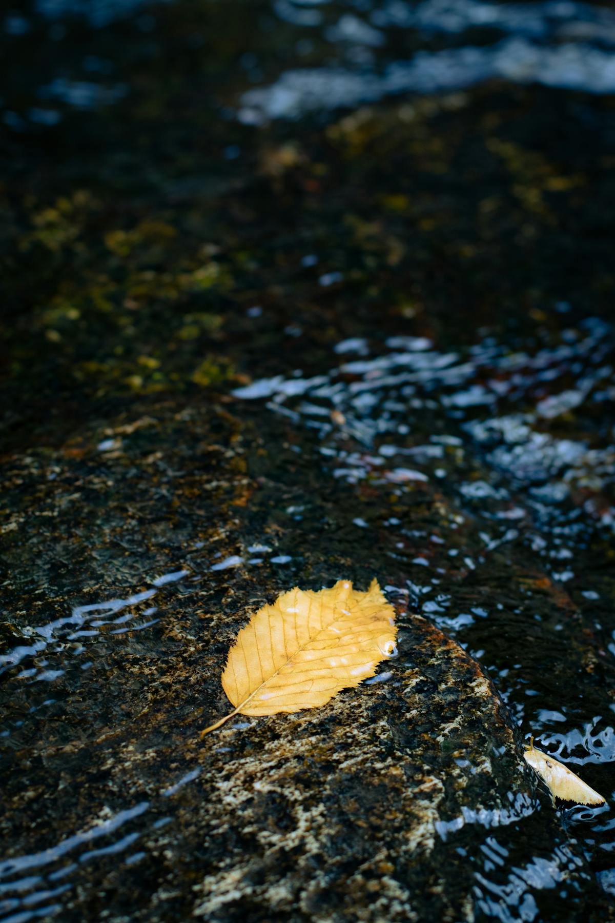 Water Scarcity Photos, Download The BEST Free Water Scarcity Stock ...