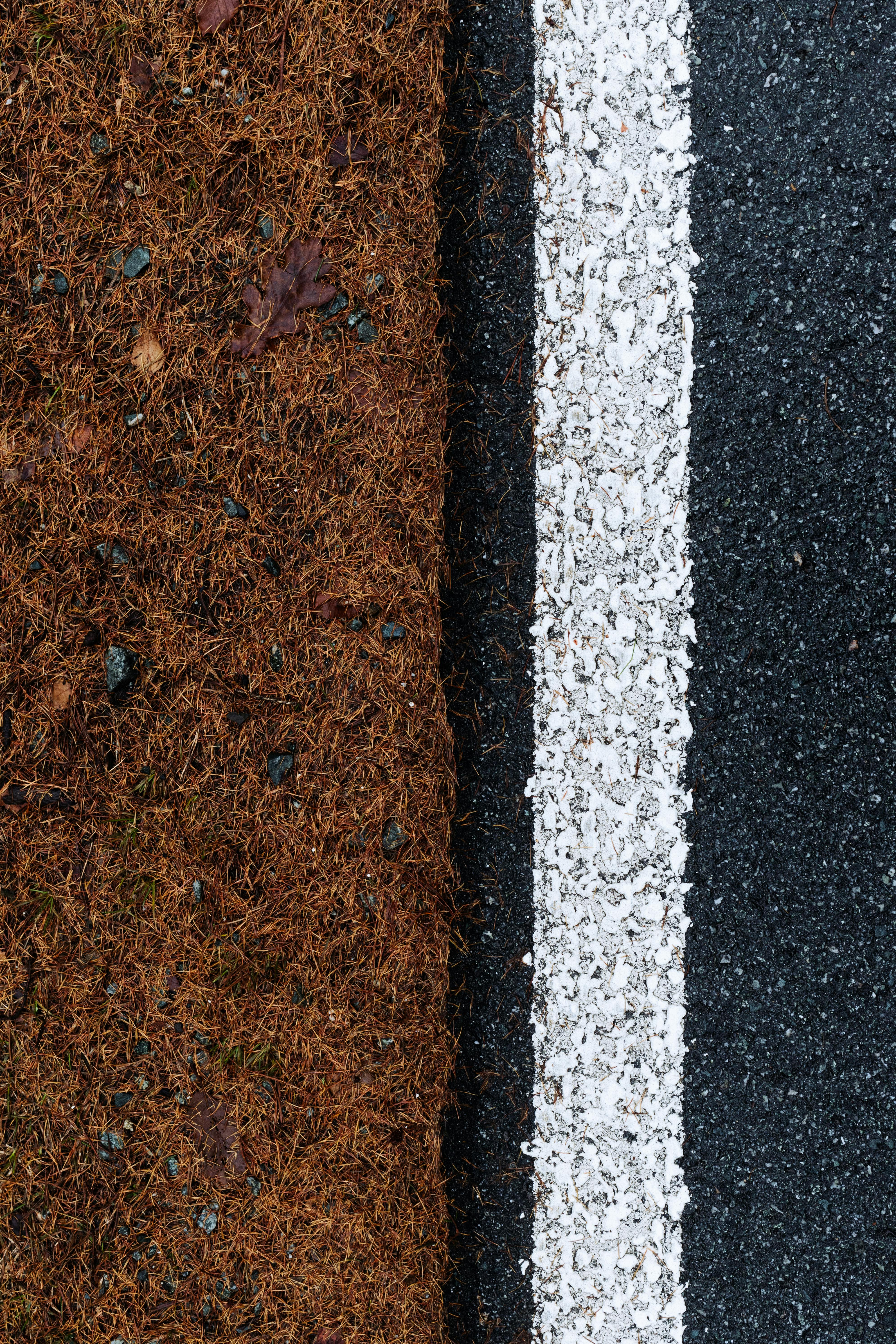 Tar Surface Photos, Download The BEST Free Tar Surface Stock Photos ...