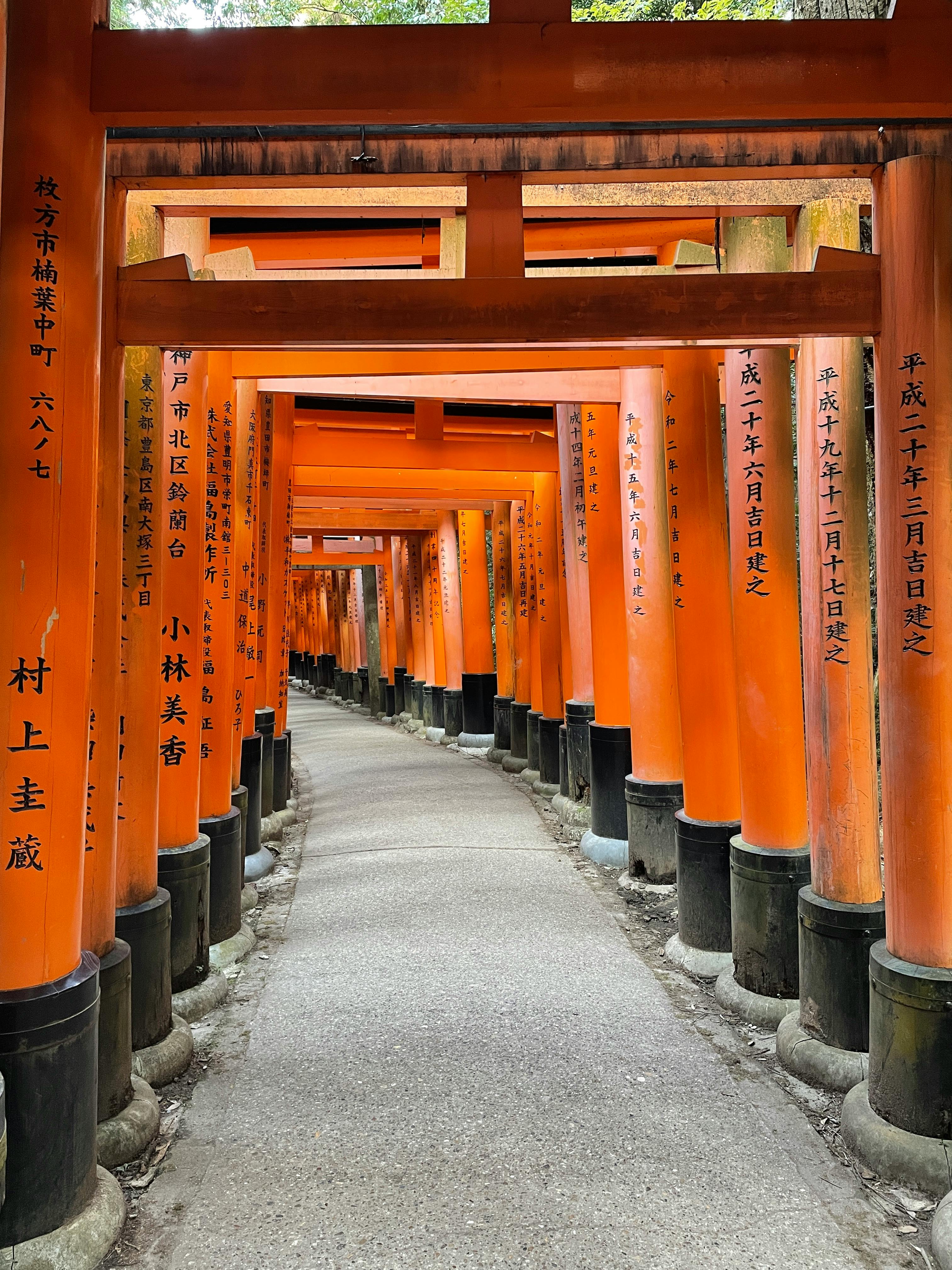 Orange Pillars in Fushimi Inari Taisha Sembon Torii Shrine in Kyoto · Free Stock Photo