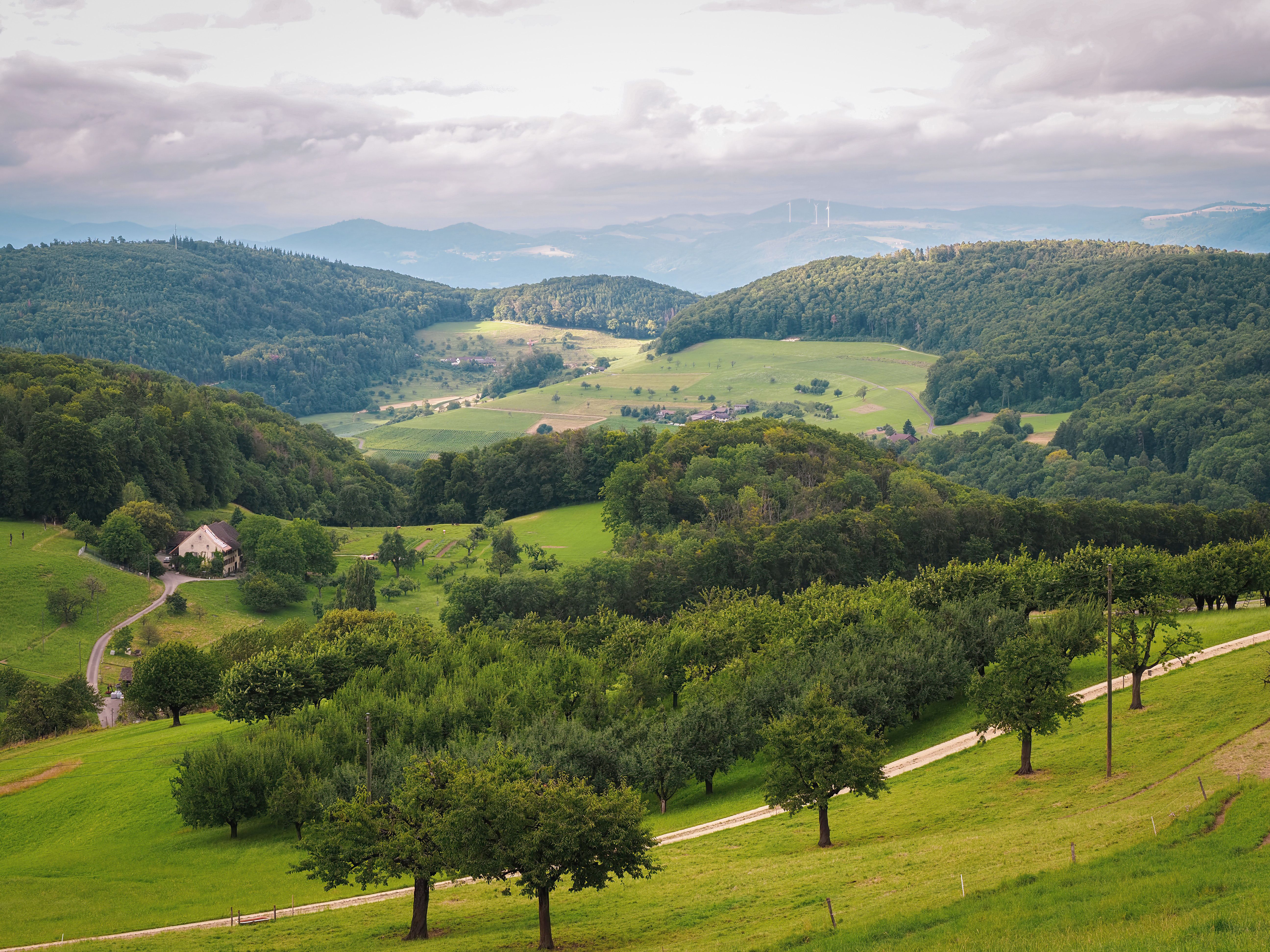 A scenic view of a valley with trees and hills · Free Stock Photo