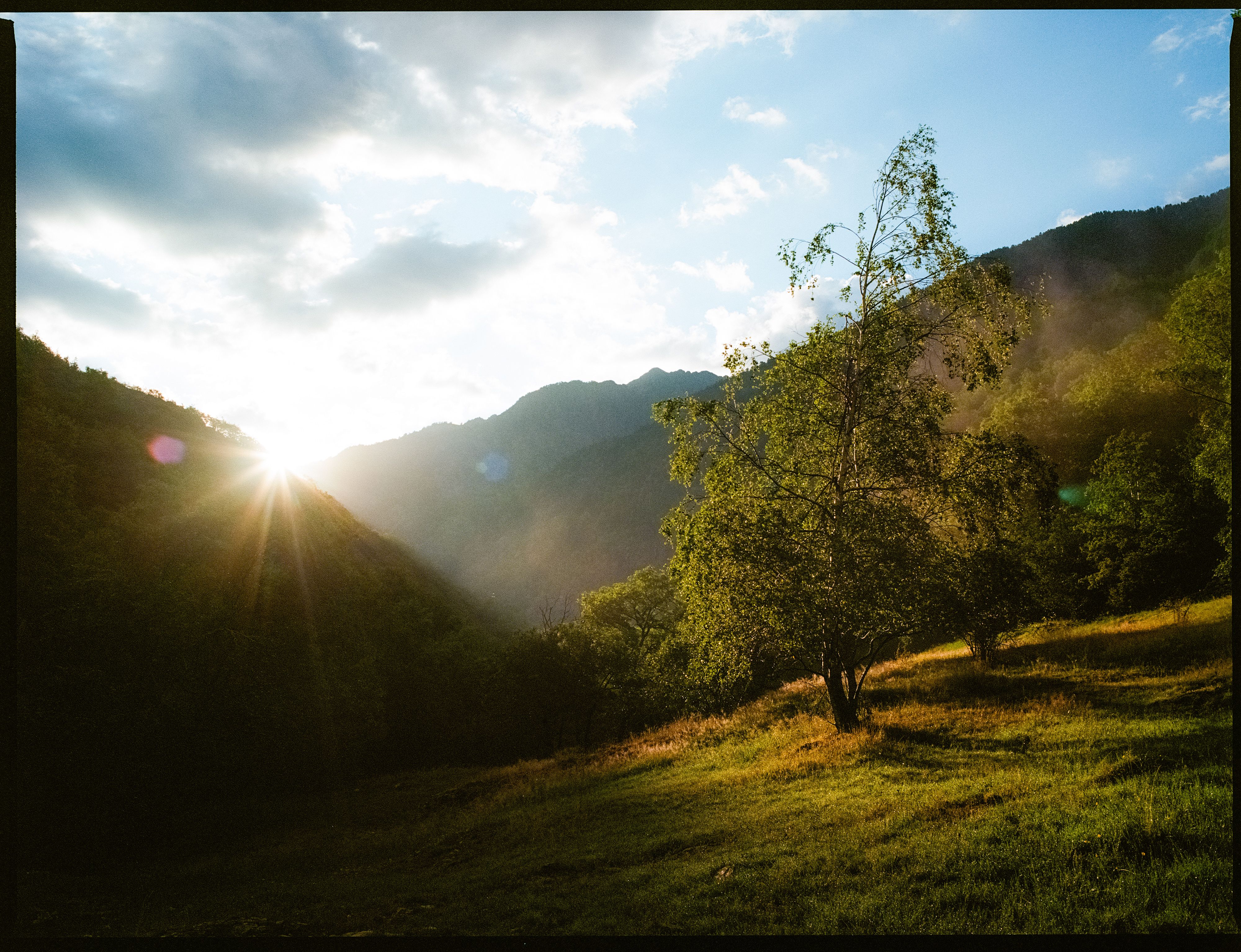 Sunlight over Mountains Shining on Trees on Hillside · Free Stock Photo