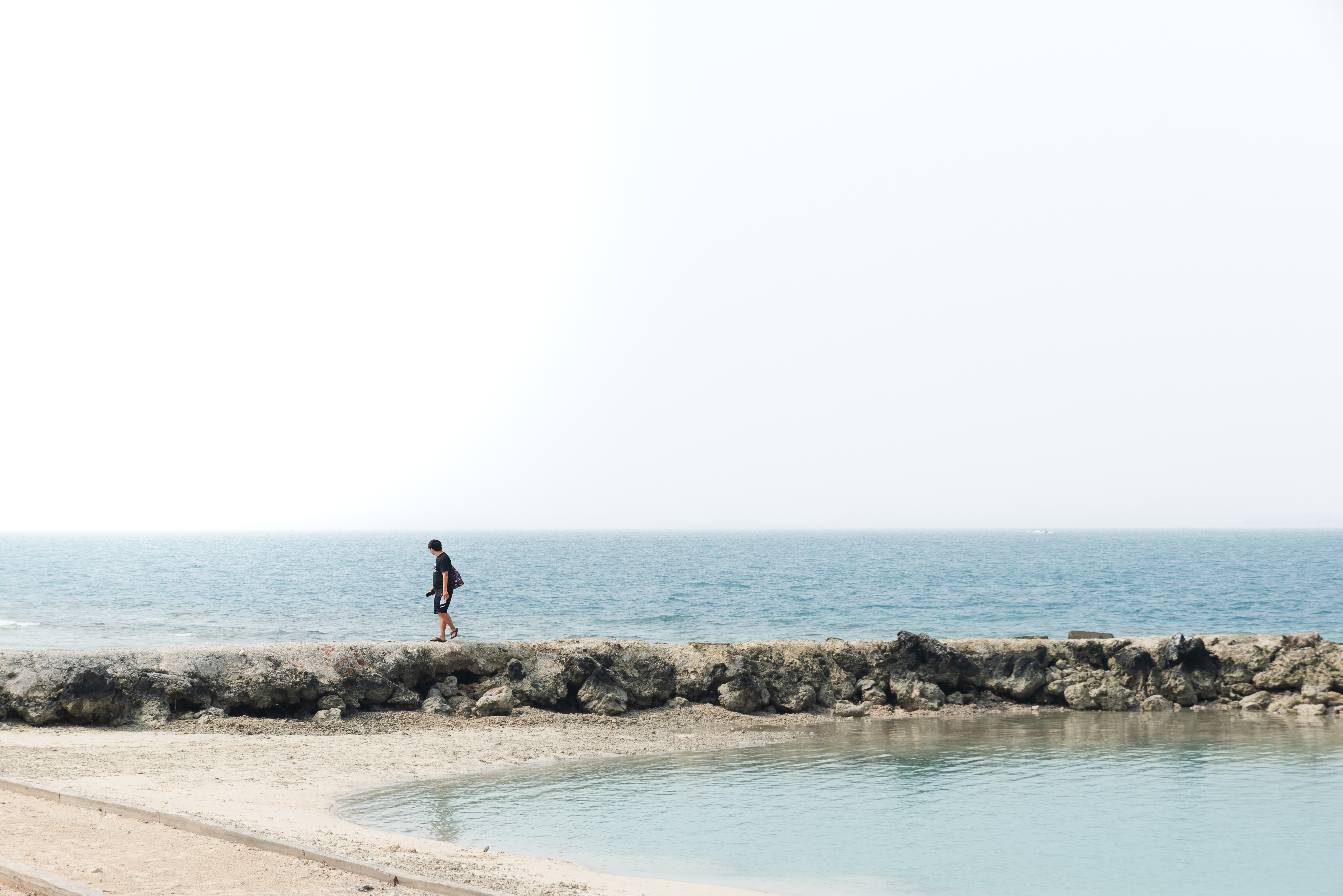 Person Walking Along the Sea Shore · Free Stock Photo