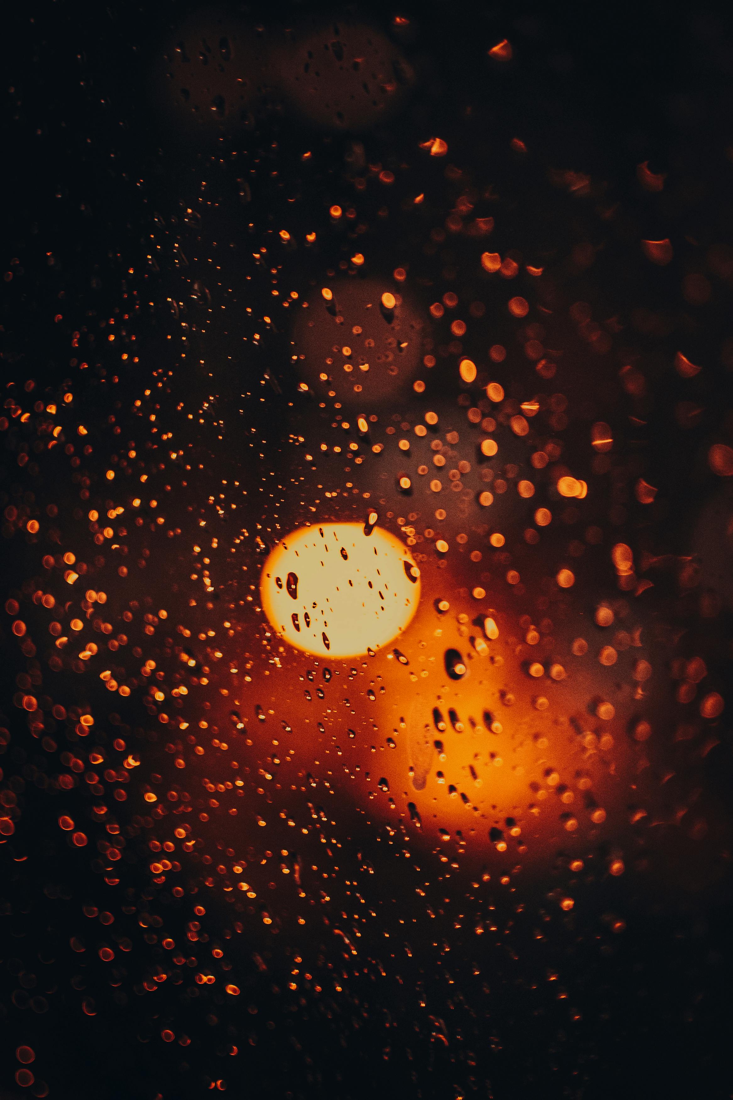 Light in the Reflection of a Window · Free Stock Photo