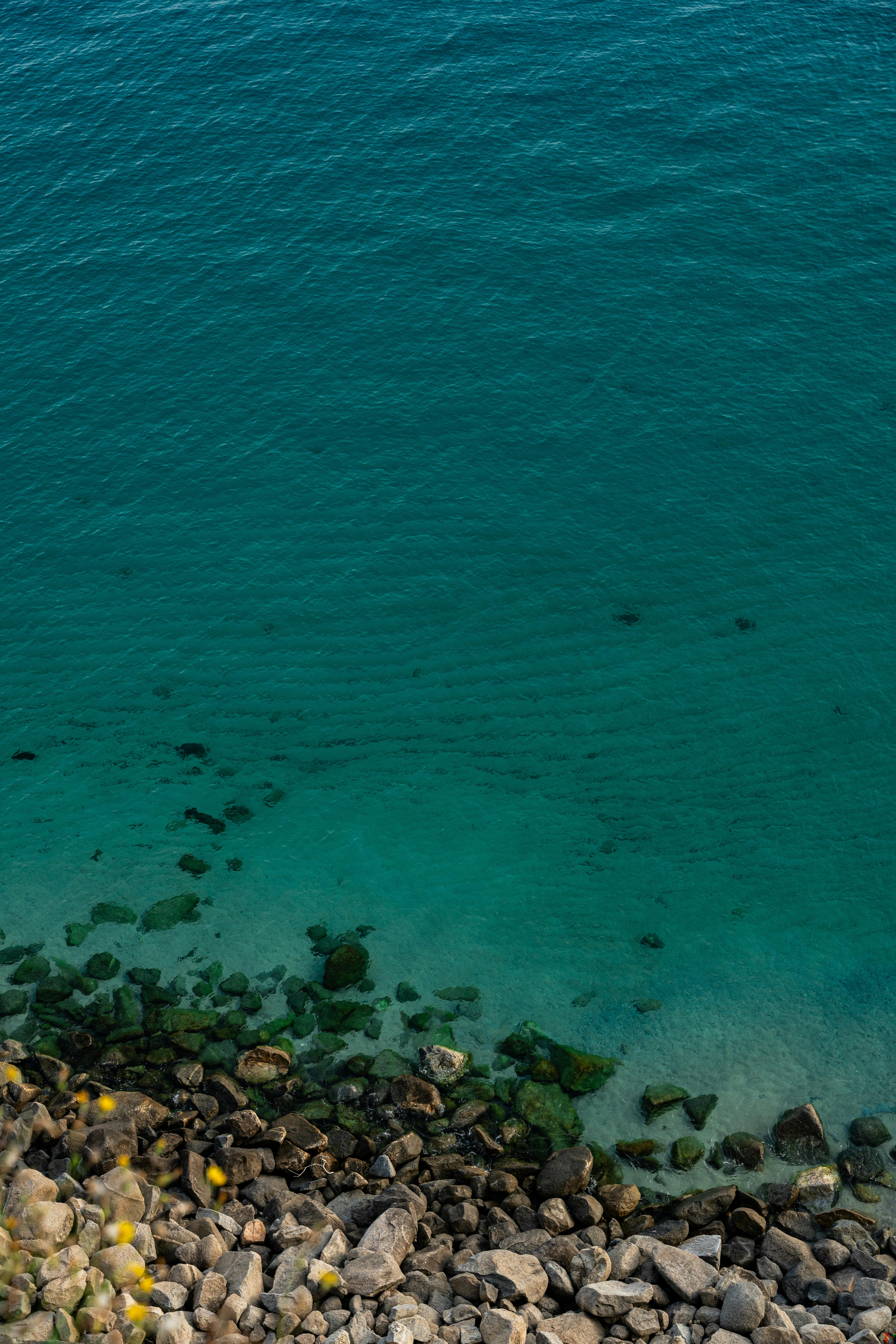 Top View of the Sea Shore · Free Stock Photo