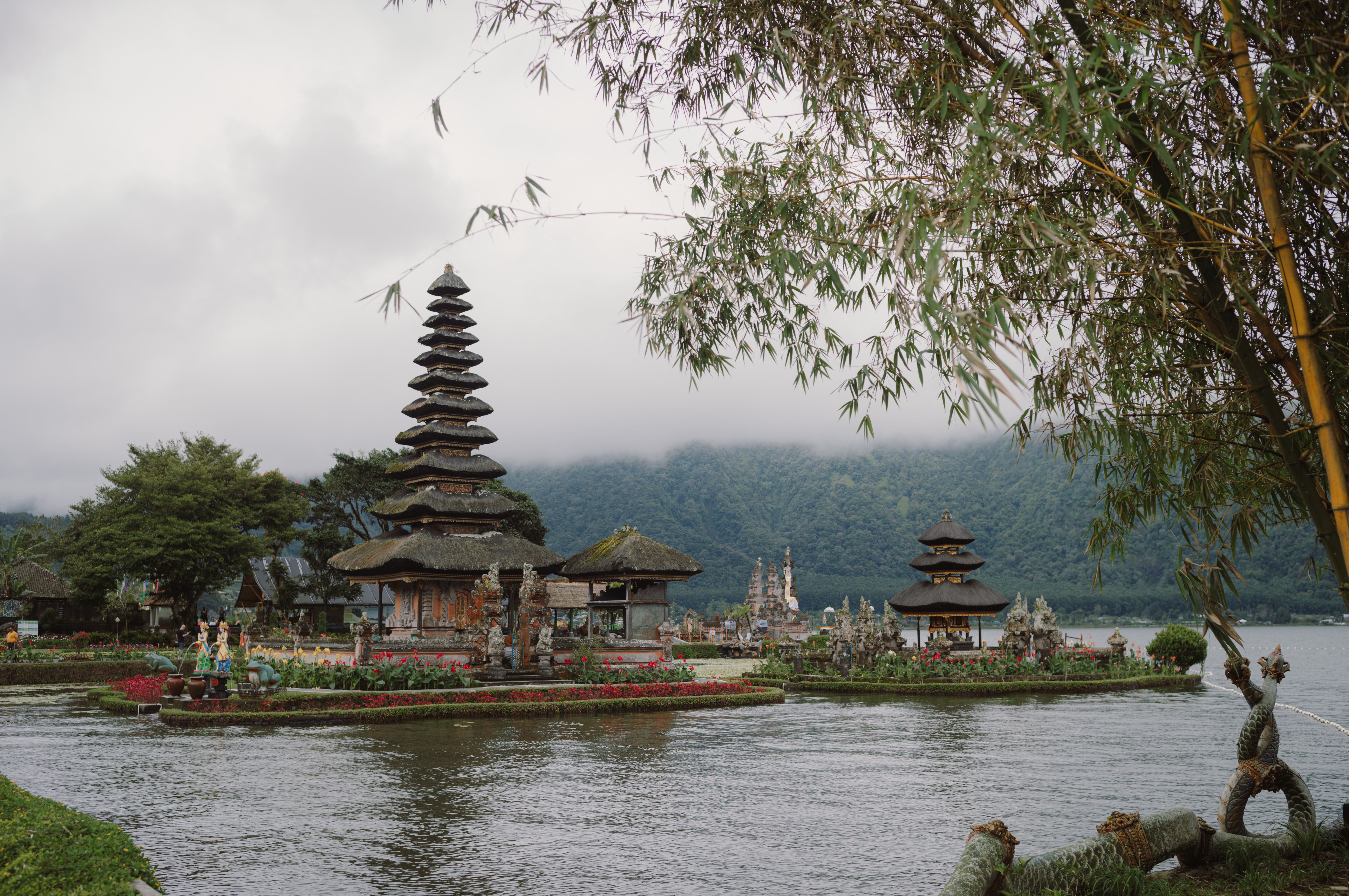 Photo gratuite de arbre, architecture, architecture asiatique, asie ...