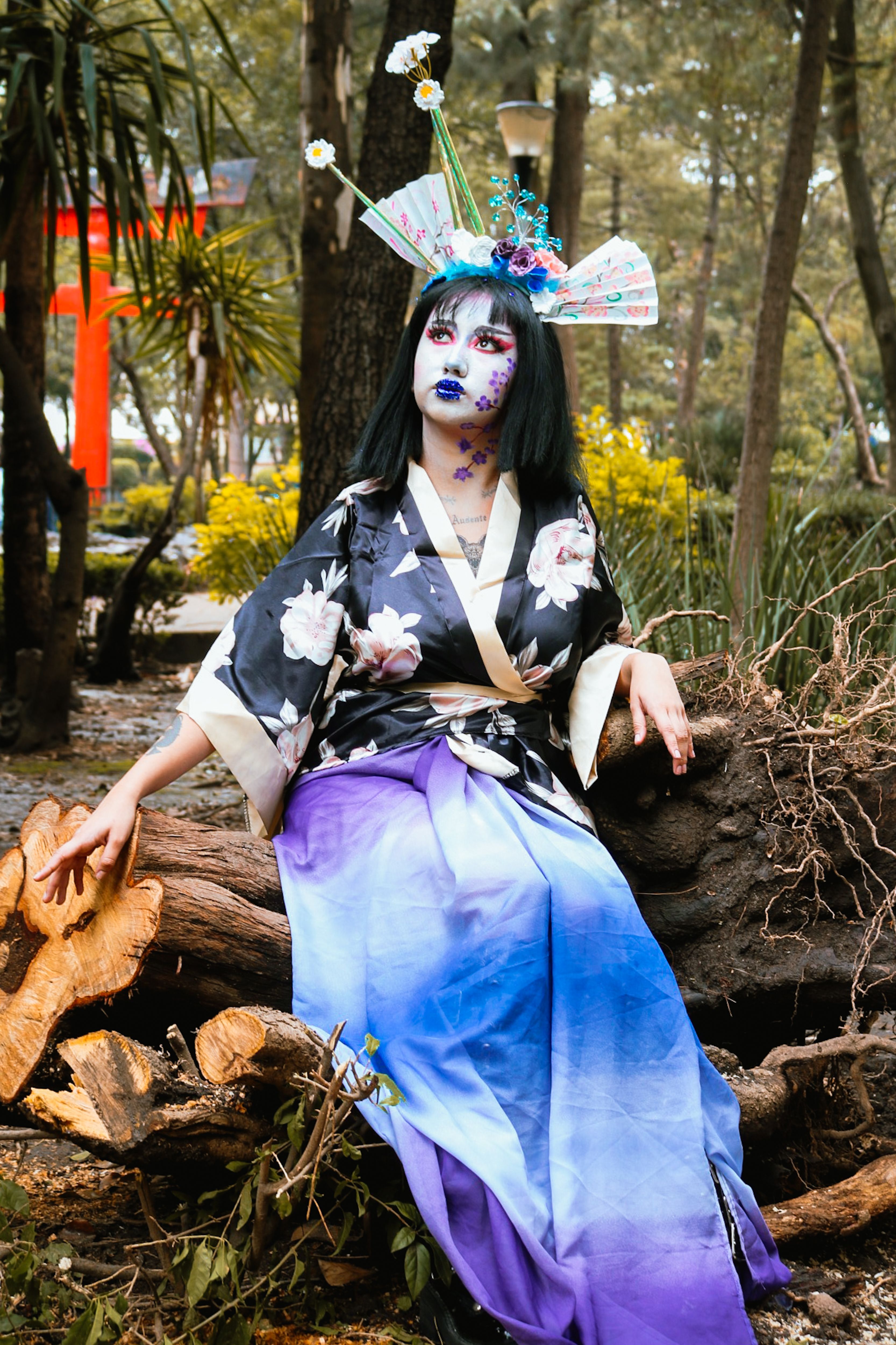A woman dressed in a geisha costume sitting on a log · Free Stock Photo