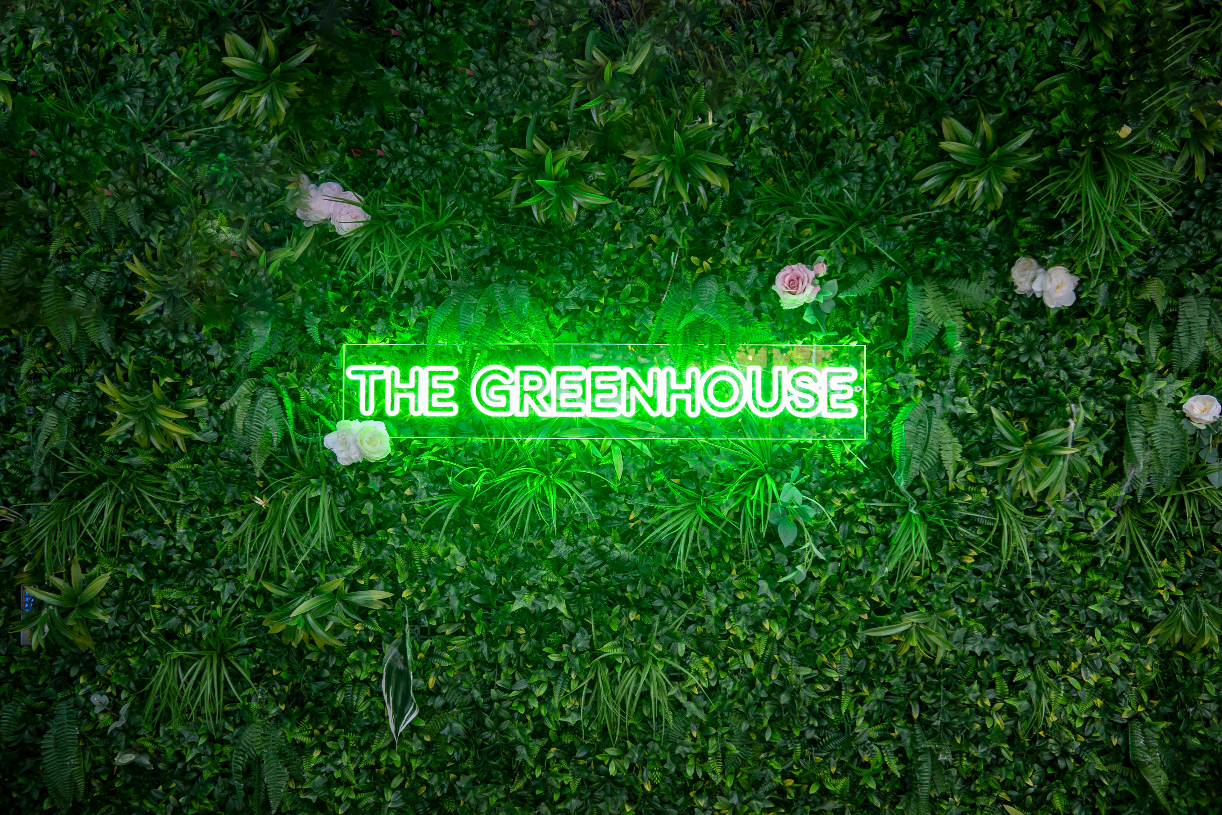 Green Neon on Hedge · Free Stock Photo