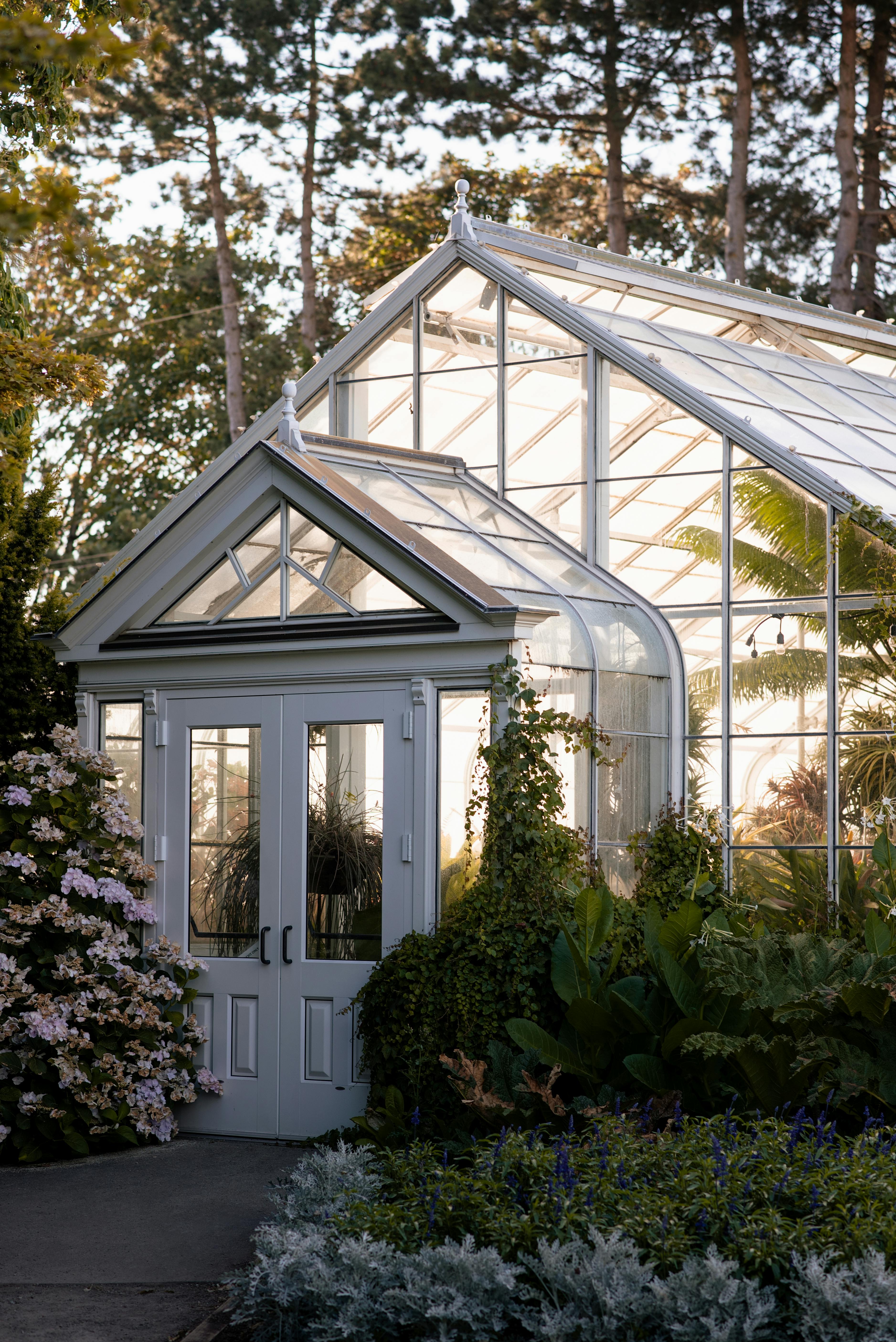Door of Greenhouse · Free Stock Photo