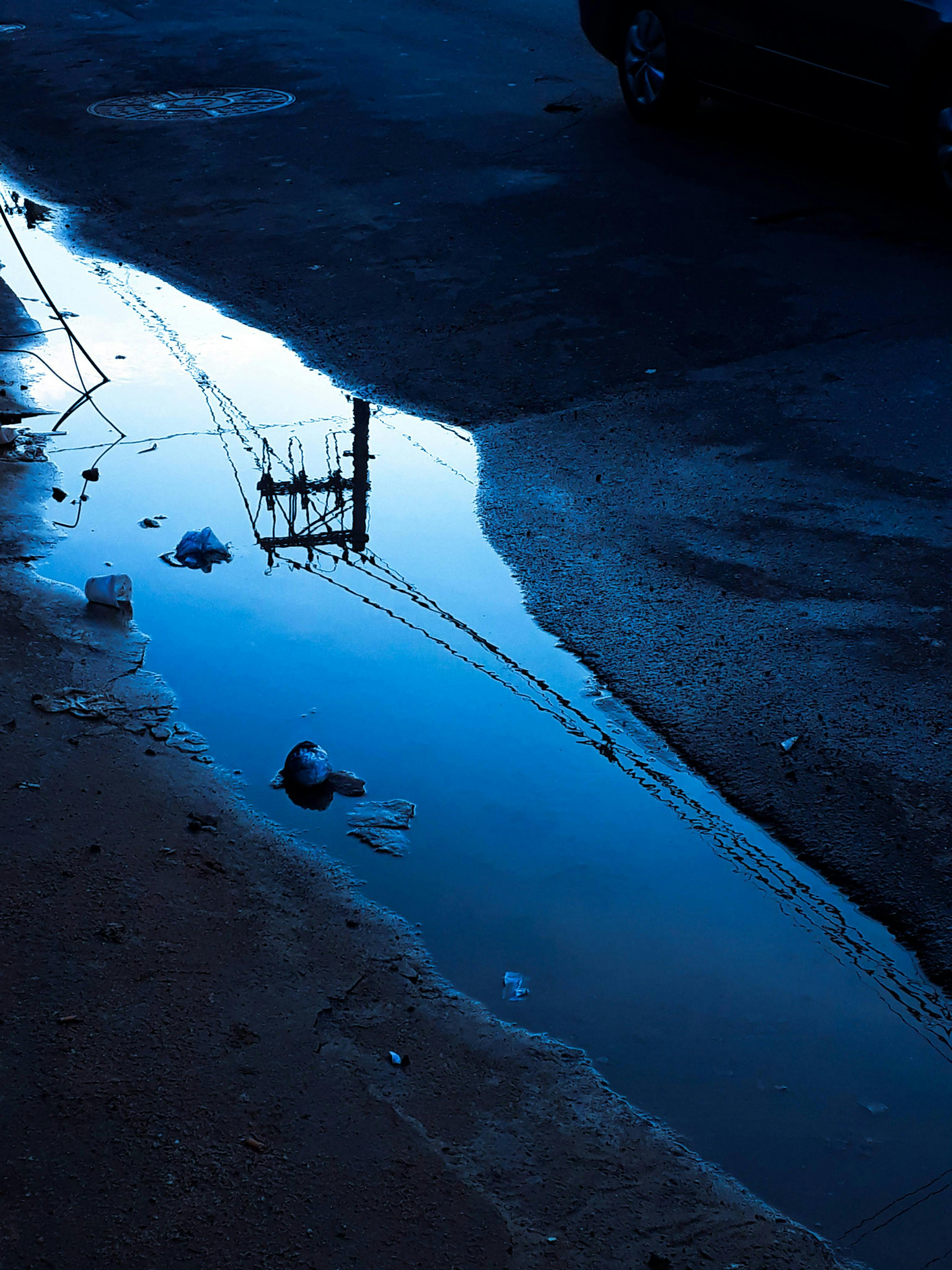 Color Theory Photography: Tips to Make Your Photos Pop