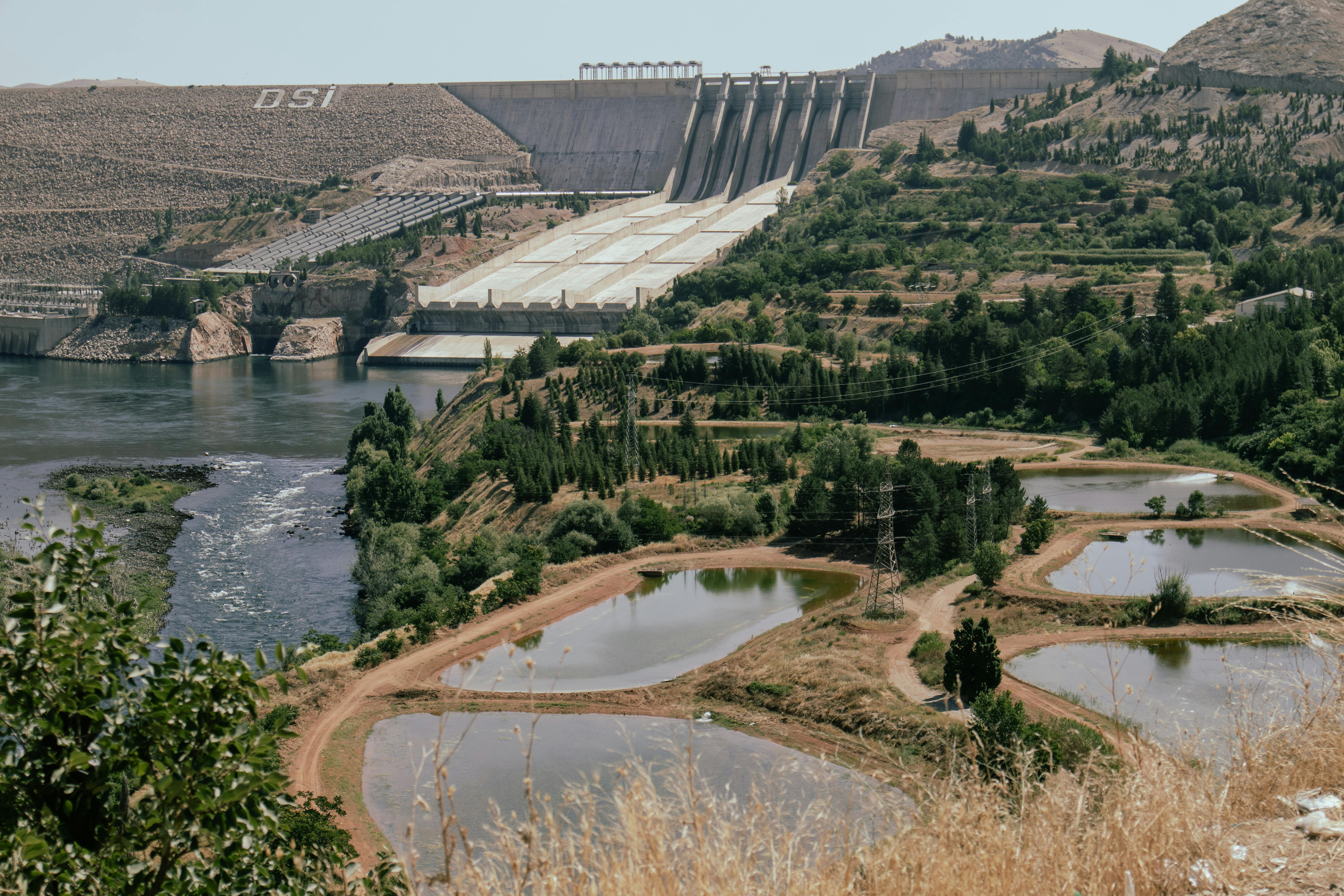 Dam Over a Landscape of the Trees · Free Stock Photo