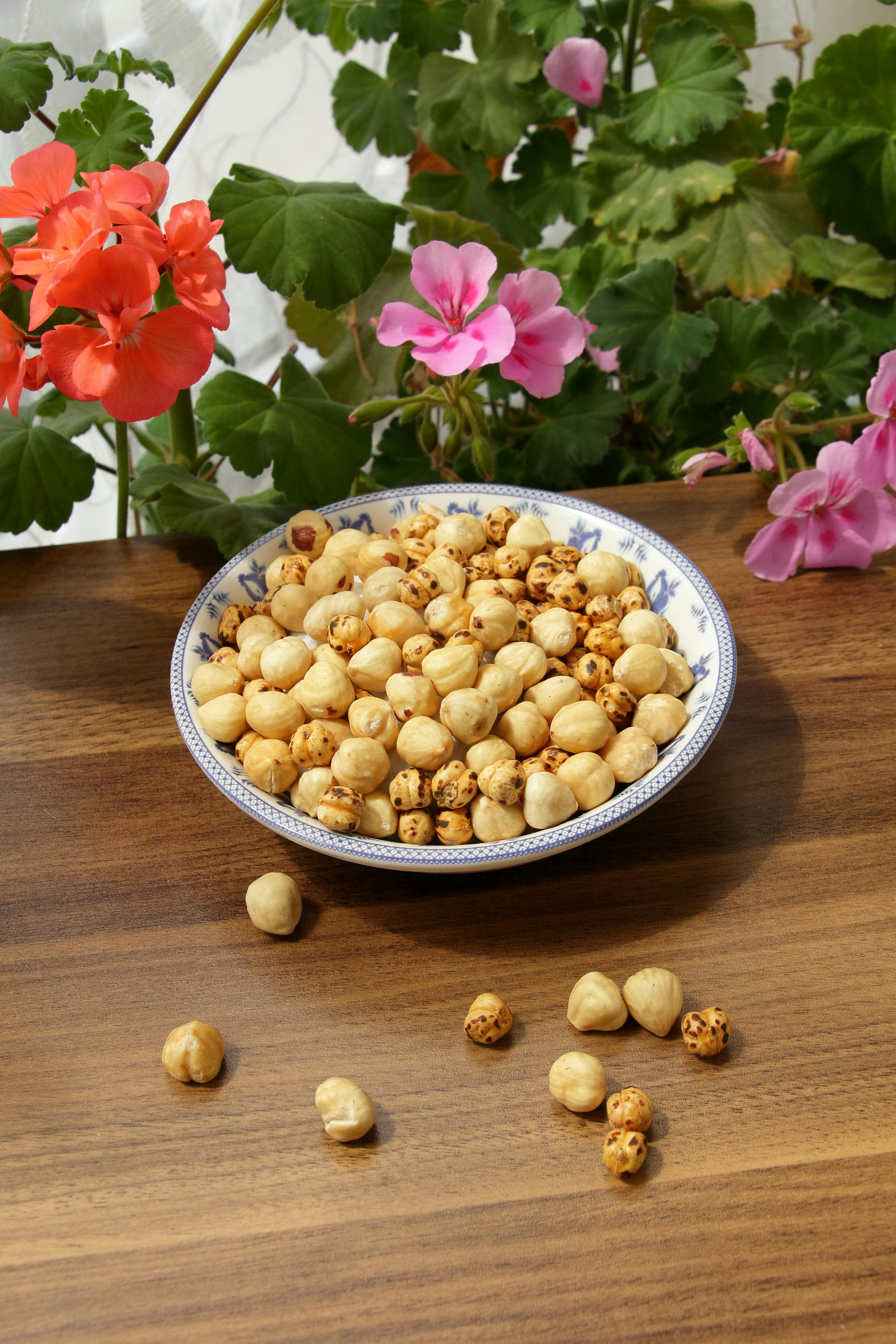 Bowl of Turkish Hazelnuts on a Wooden Table · Free Stock Photo