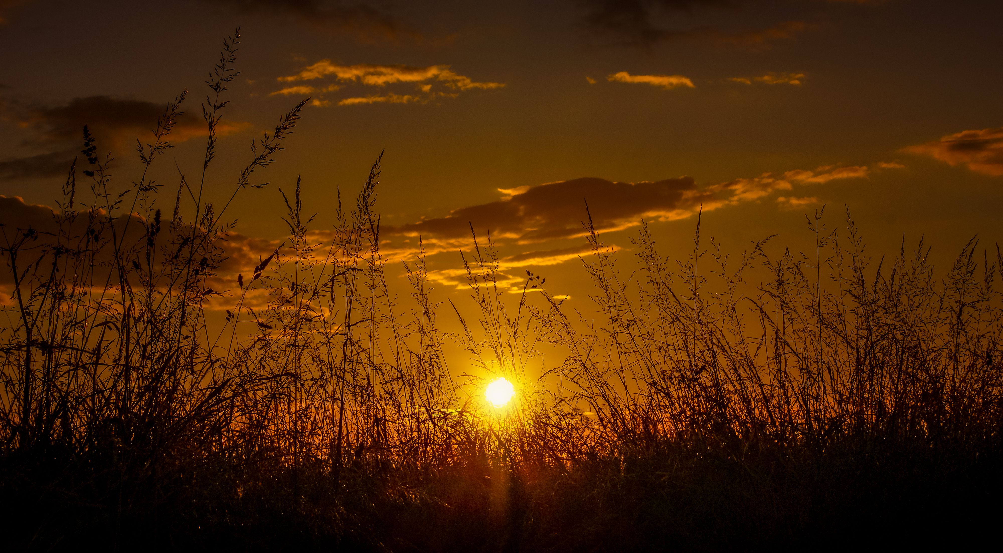Sun Fading Photos, Download The BEST Free Sun Fading Stock Photos & HD ...