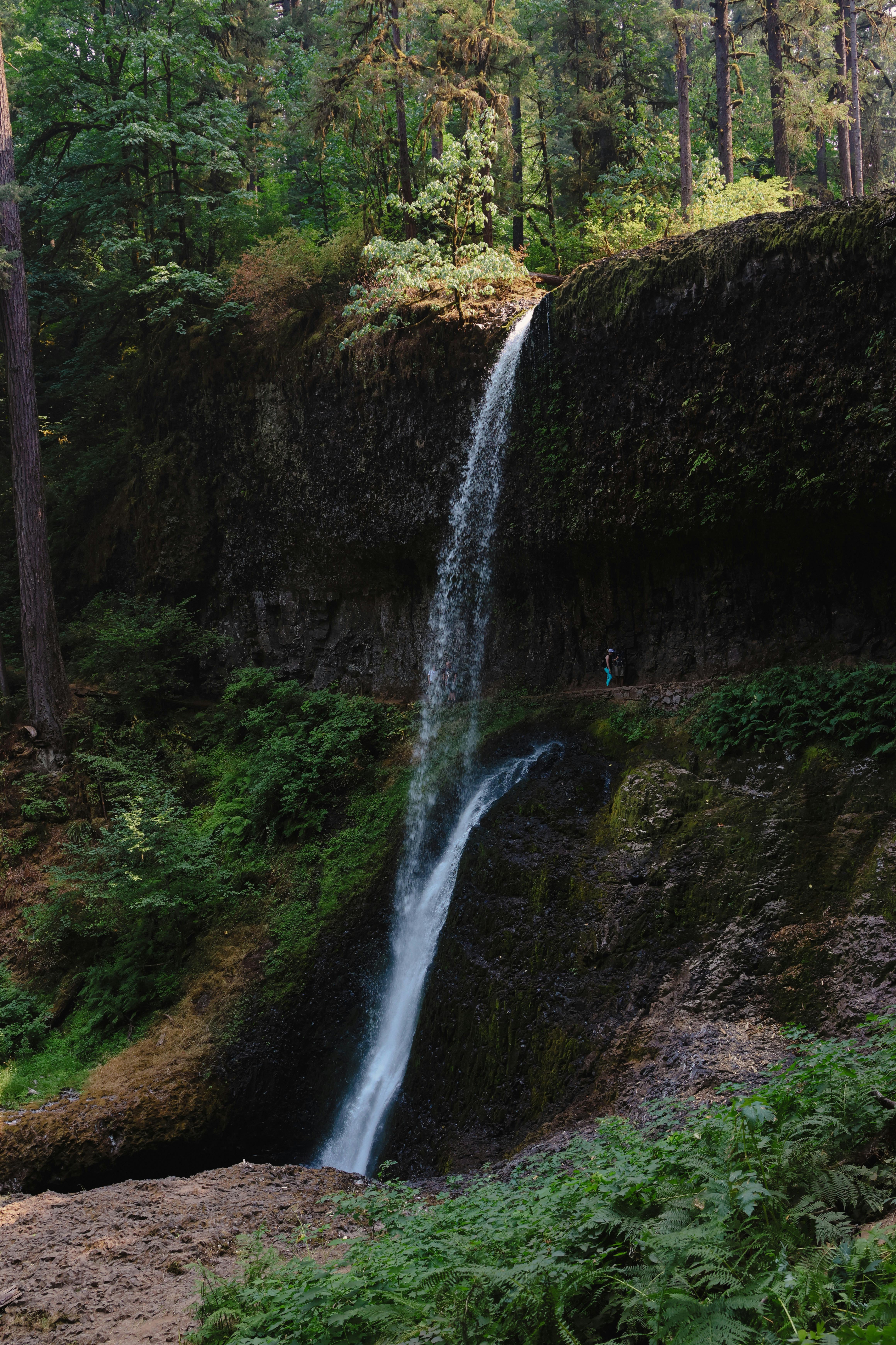 Waterfalls Surrounded by Trees · Free Stock Photo