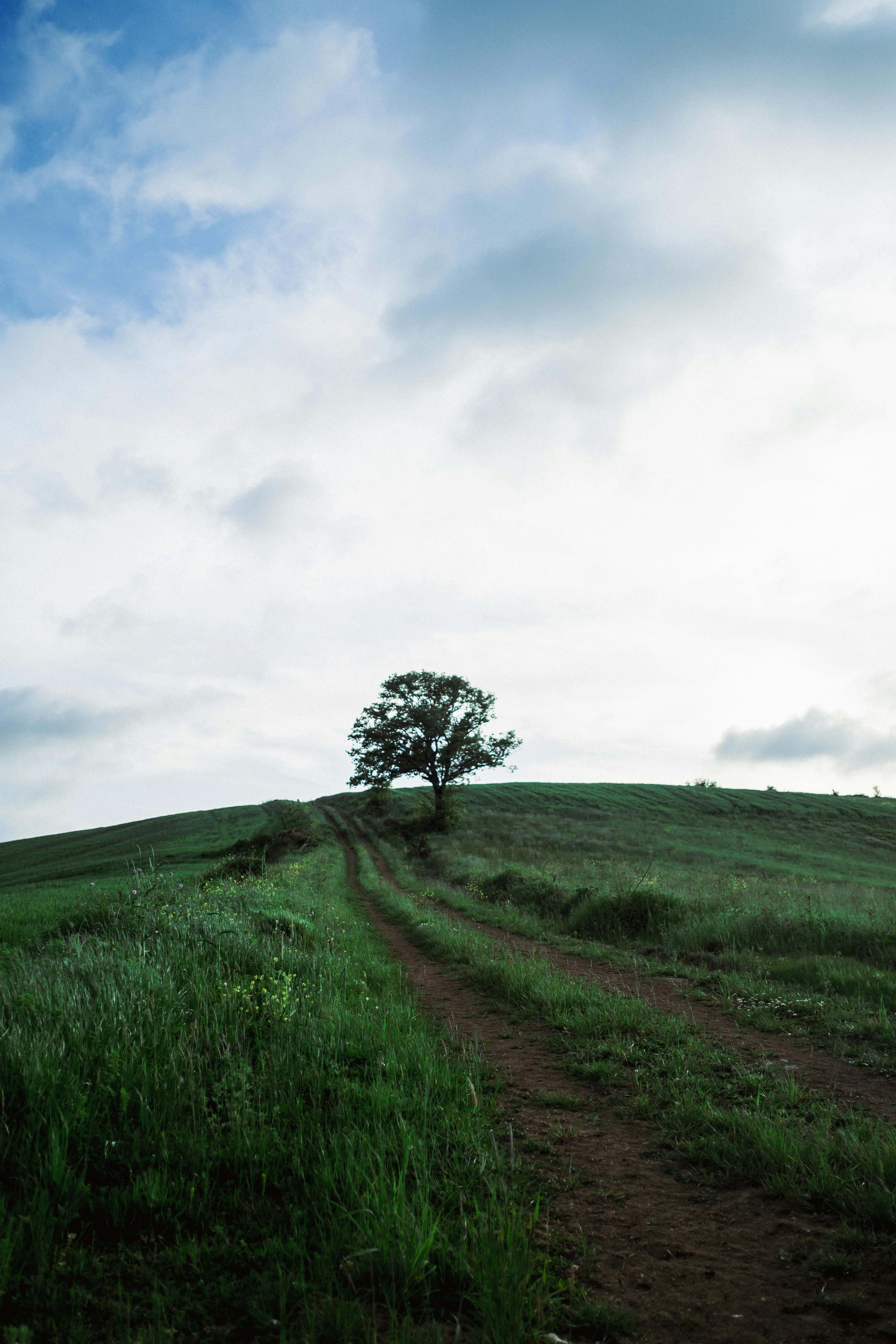 Dirt Path Photos, Download The BEST Free Dirt Path Stock Photos & HD Images