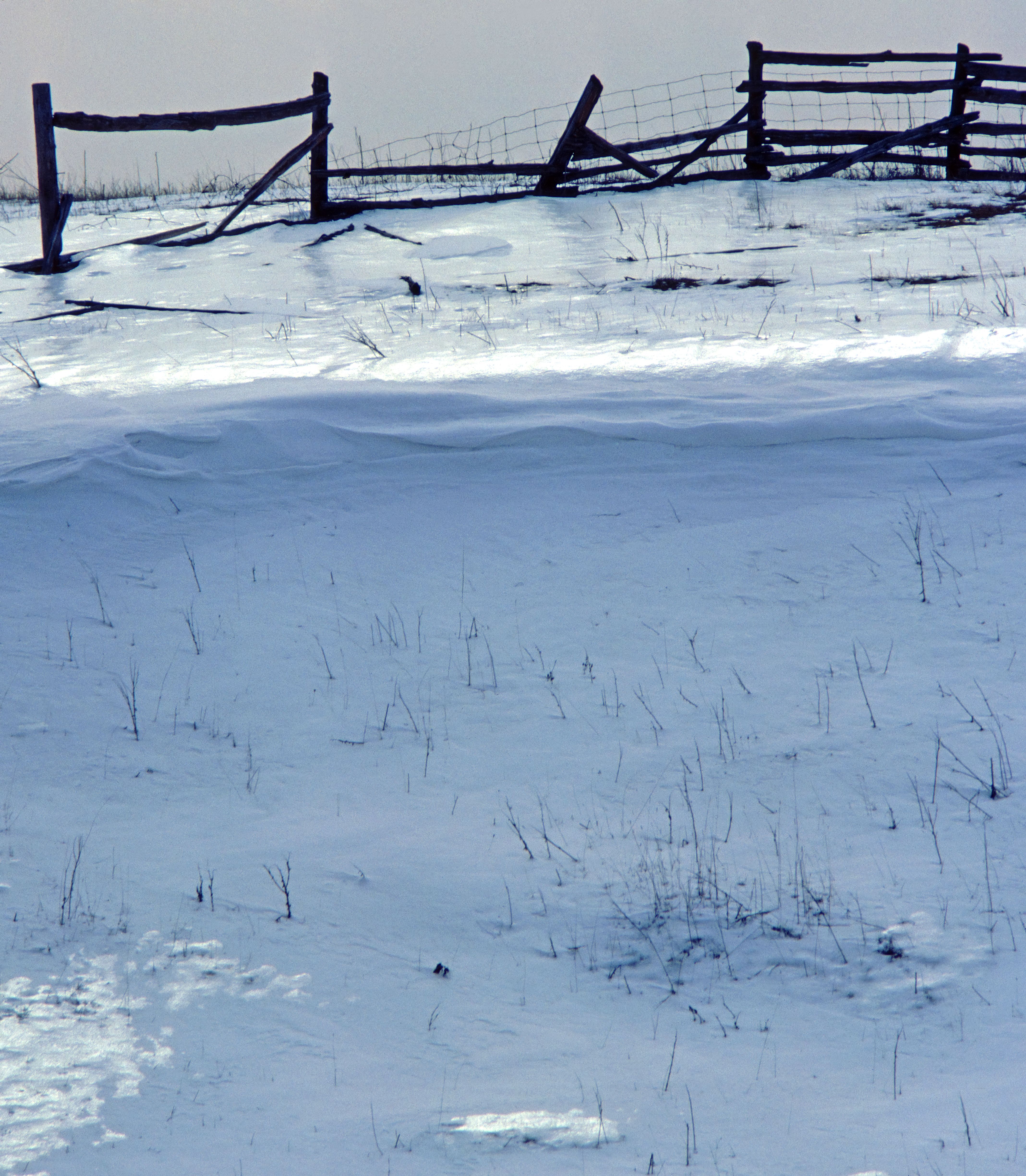 Campo Cubierto De Hielo Y Cerca · Foto de stock gratuita