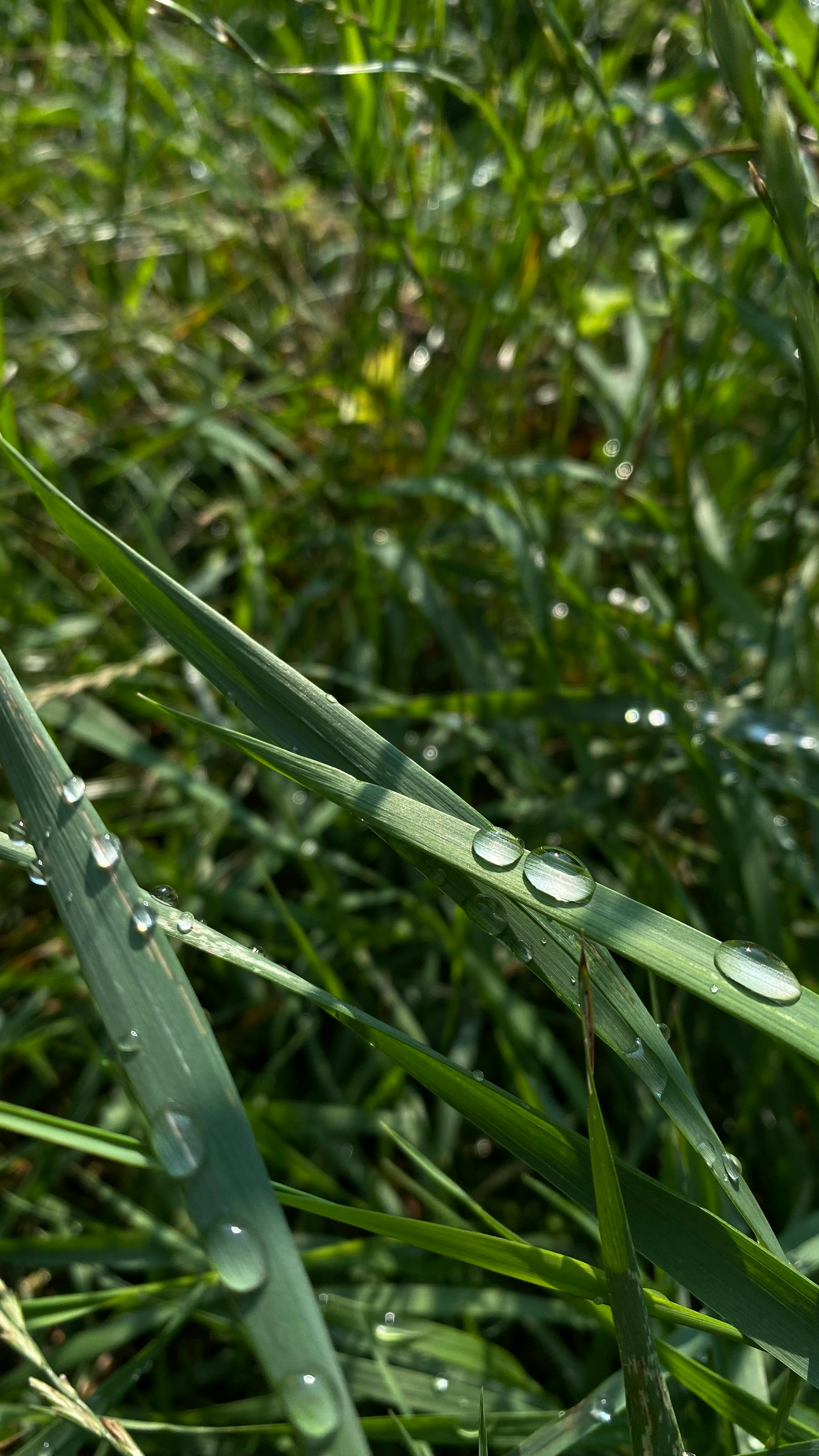 Clean Natural Environment Photos, Download The BEST Free Clean Natural ...