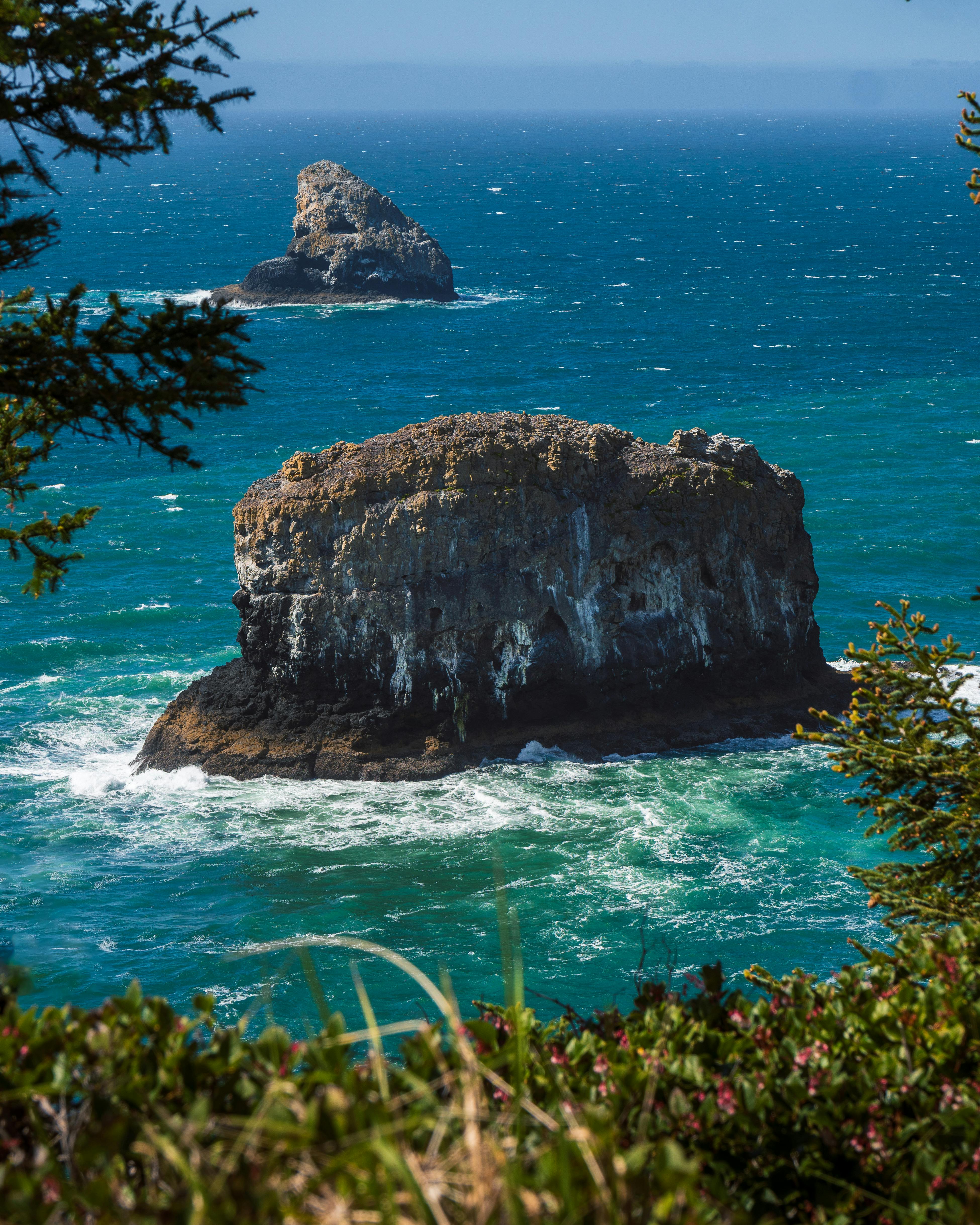 Brown Grass Field · Free Stock Photo