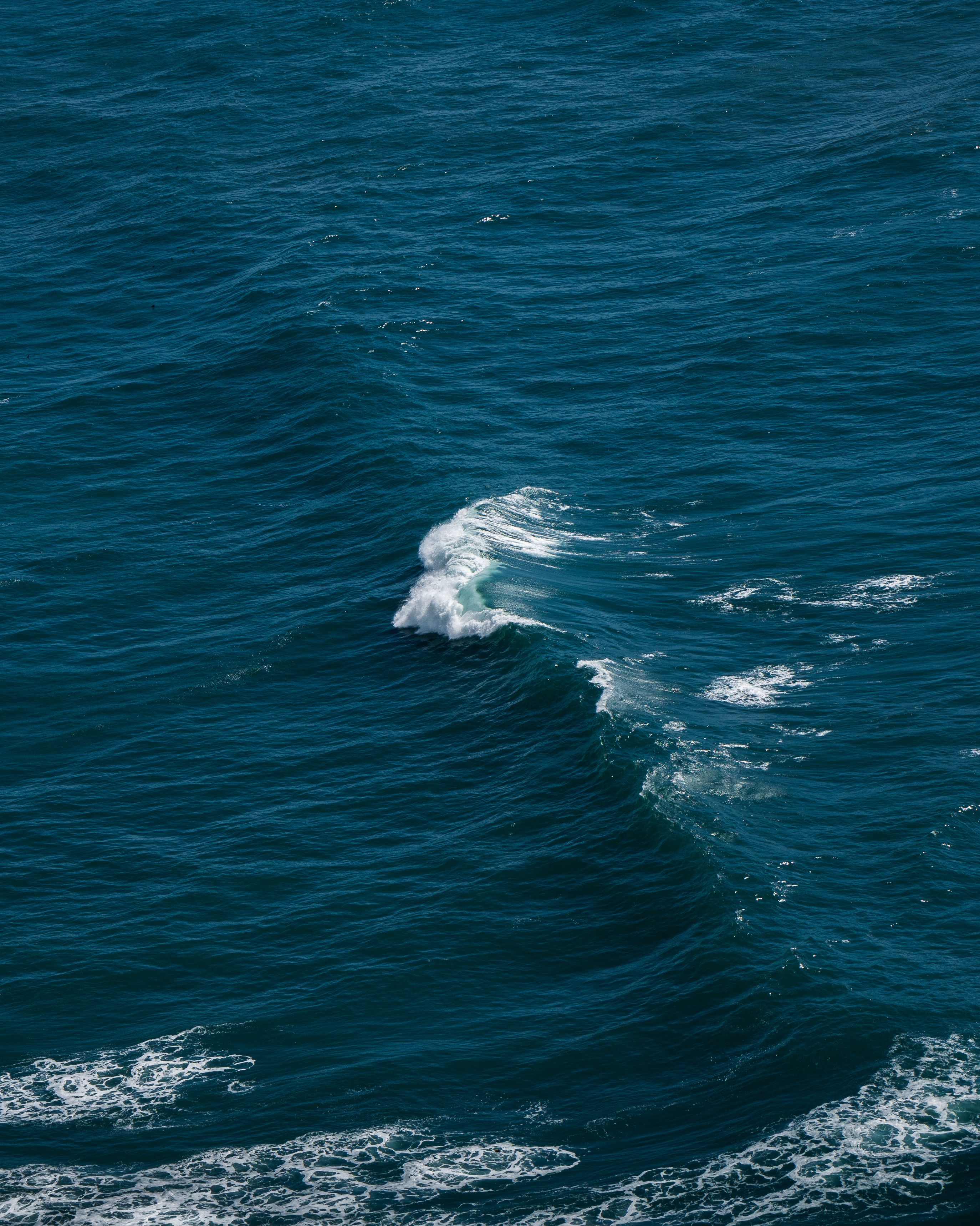 Waves in a Sea · Free Stock Photo
