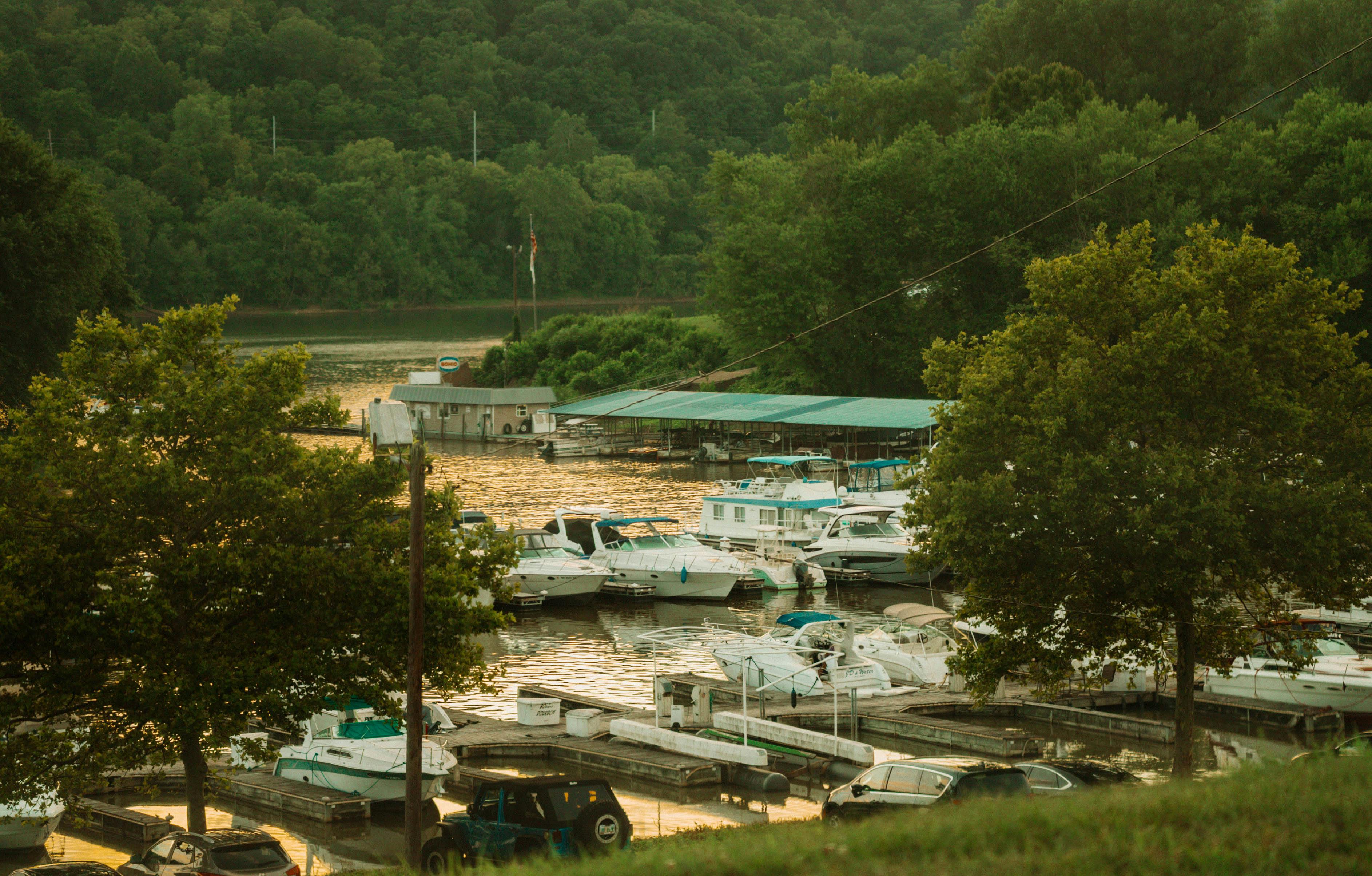 Lake Life · Free Stock Photo