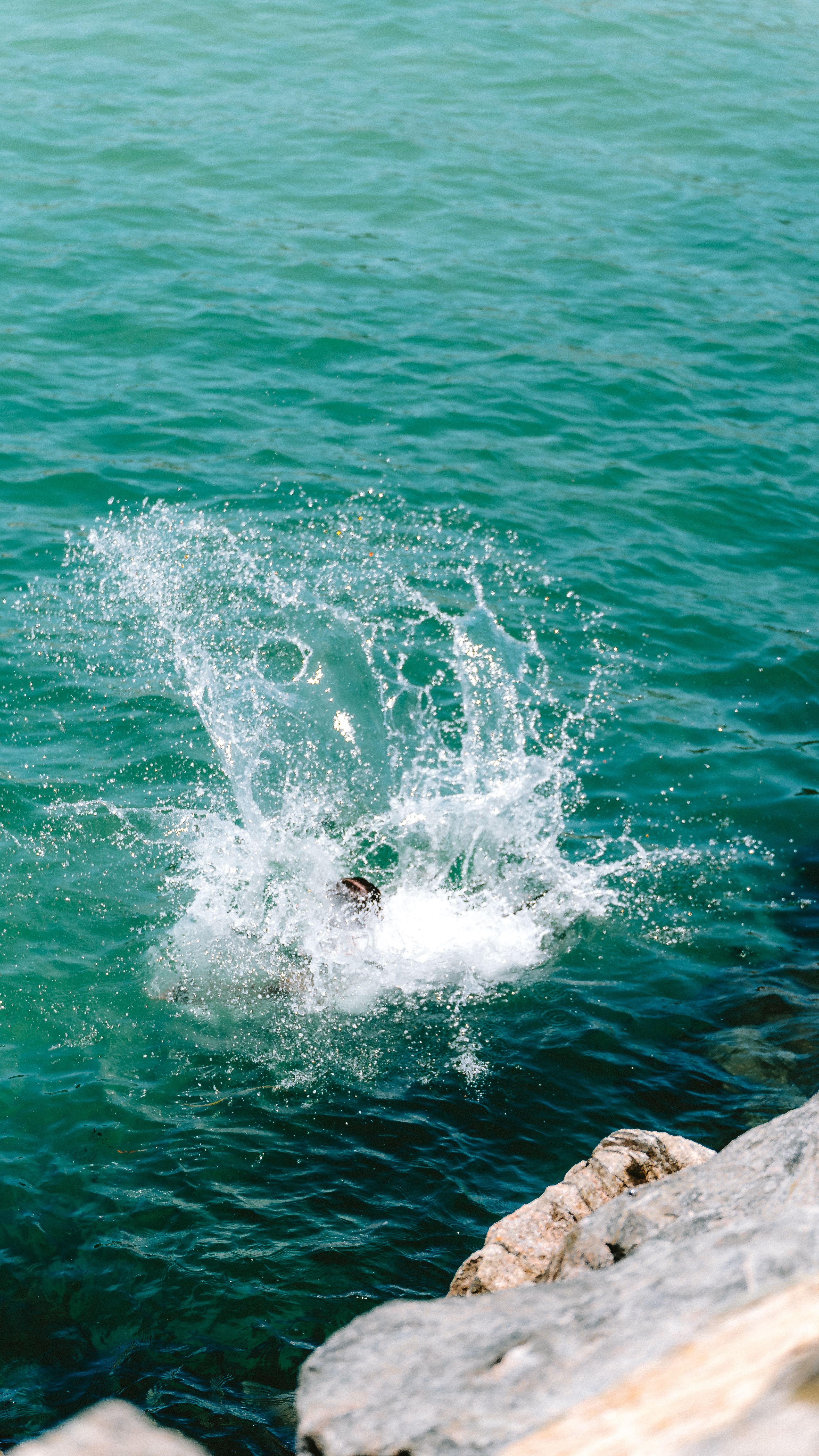 Person Jumping in the Water · Free Stock Photo