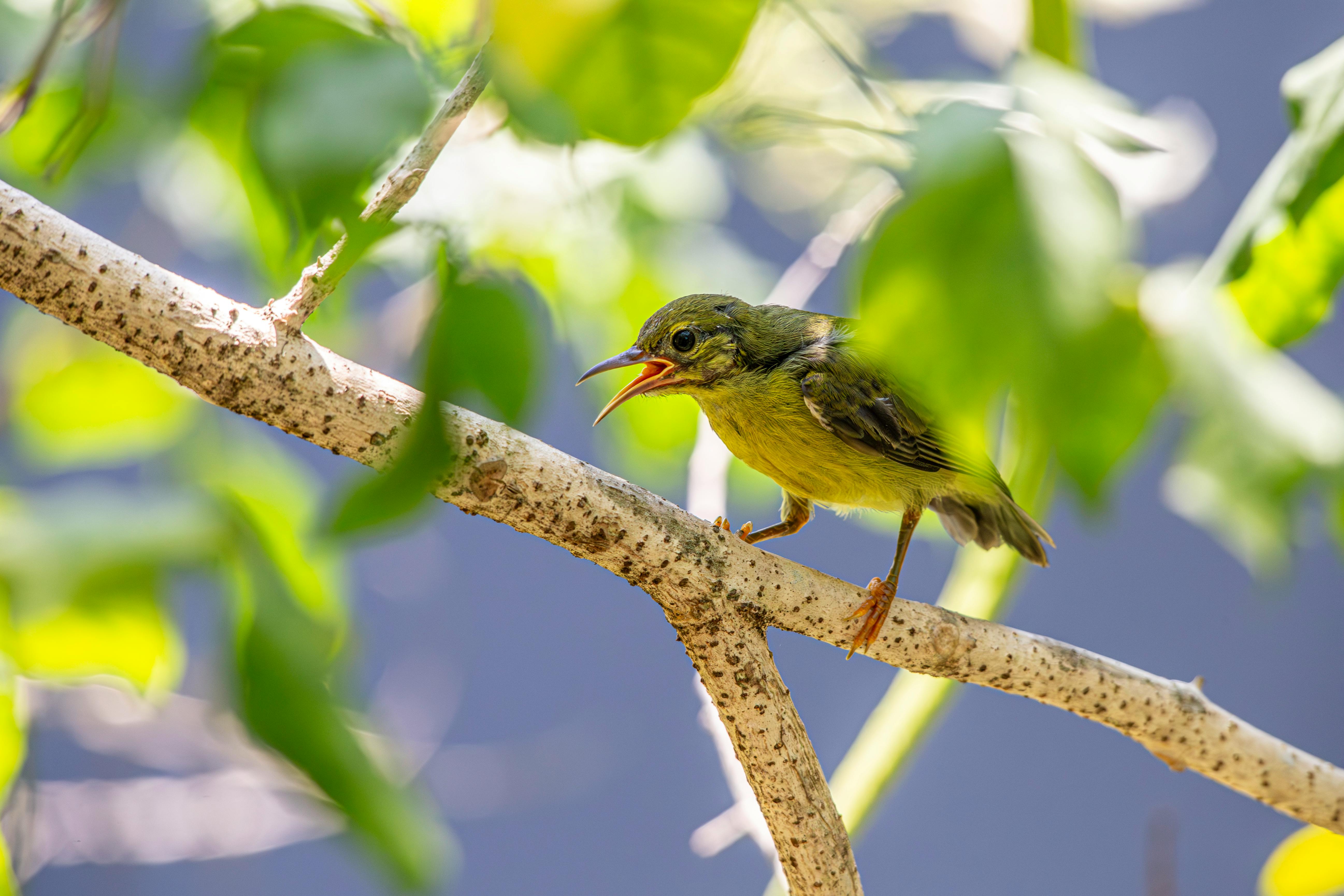 Tiny Spiral Photos, Download The BEST Free Tiny Spiral Stock Photos ...