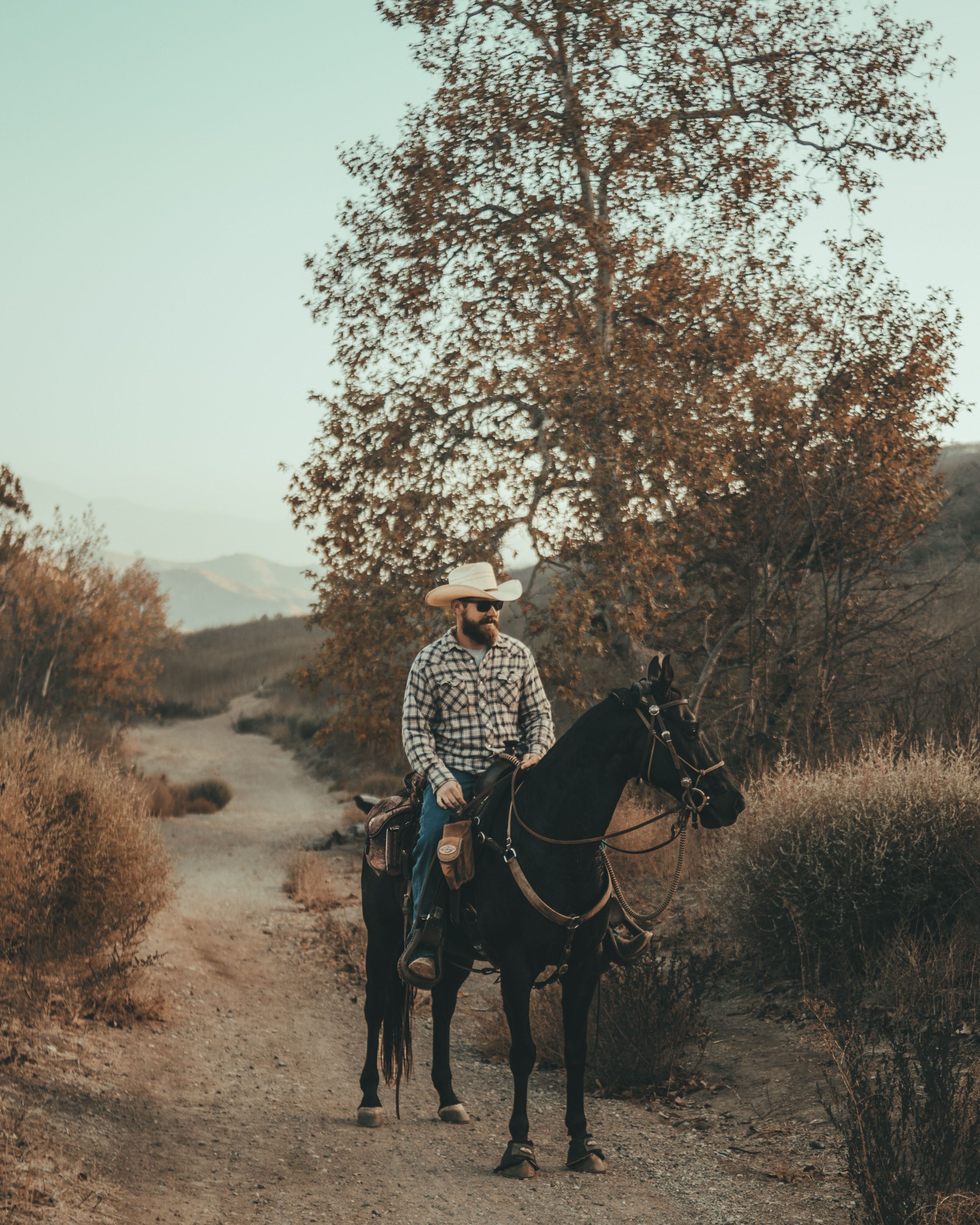 Man Riding on a Horse · Free Stock Photo