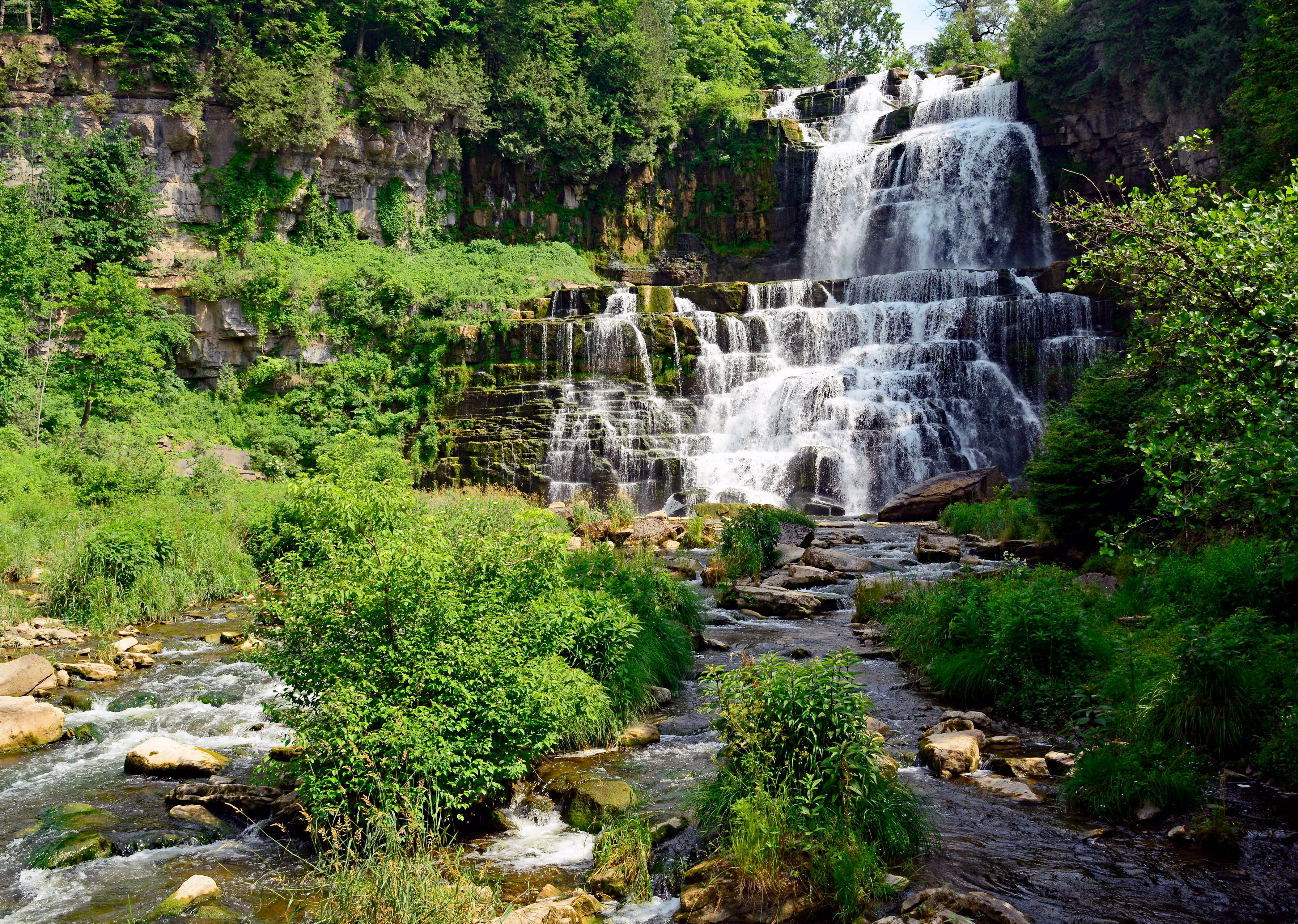 Falls in the summer · Free Stock Photo