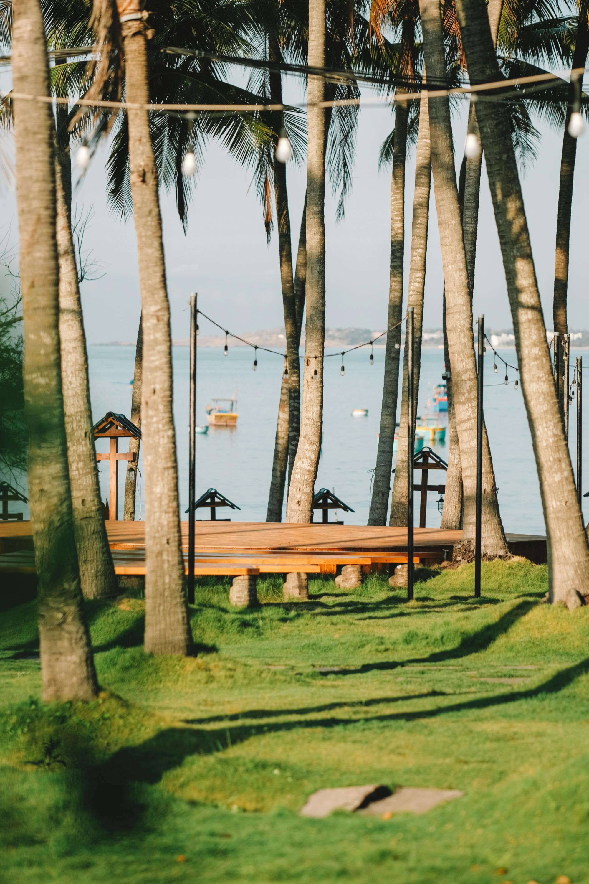 A wooden deck with palm trees and benches · Free Stock Photo