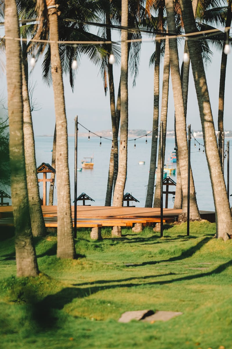 Den Photos, Download The BEST Free Den Stock Photos & HD Images