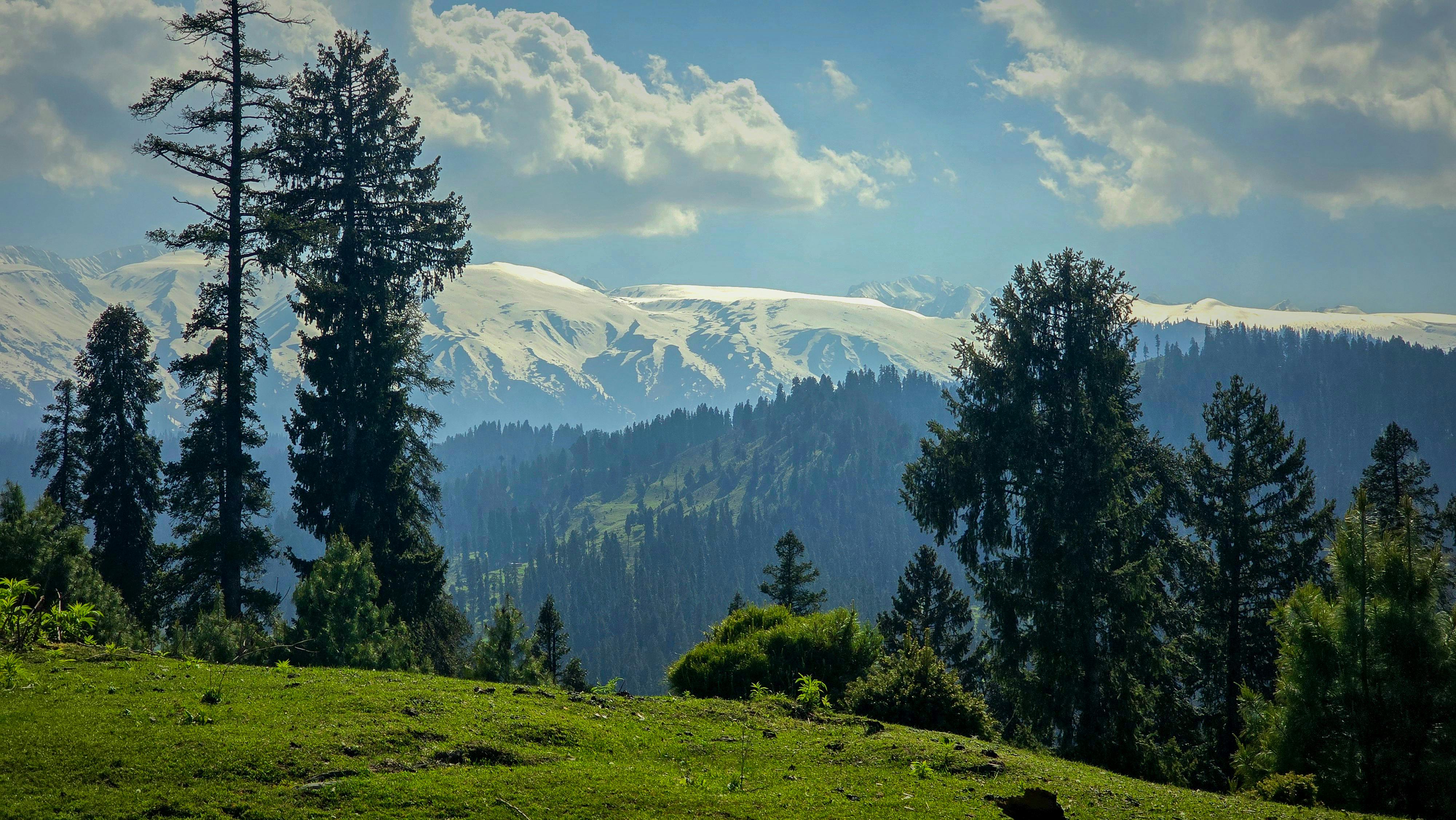 Pexel Captures - Photography