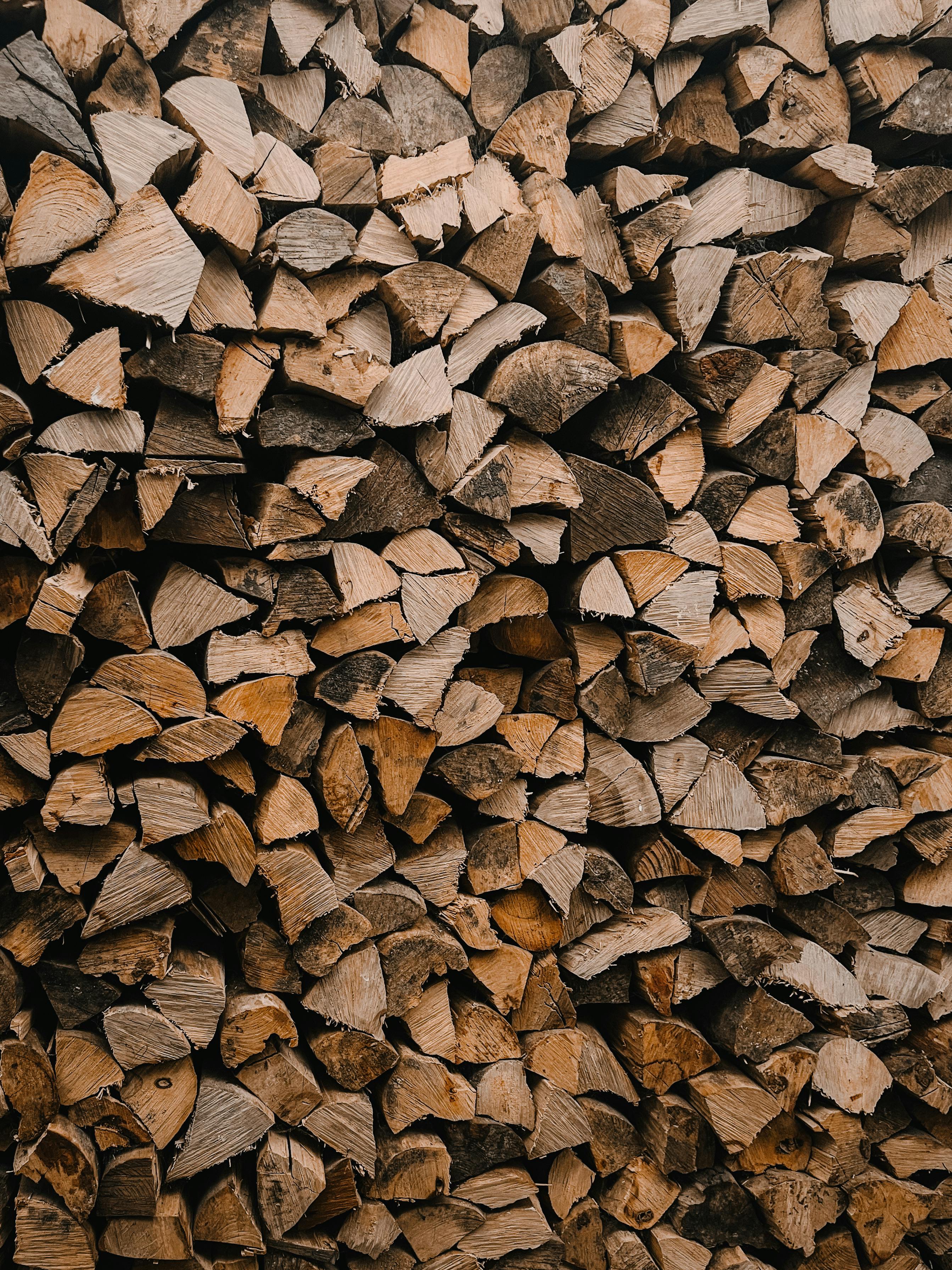 Wooden logs prepared for production of lumber · Free Stock Photo