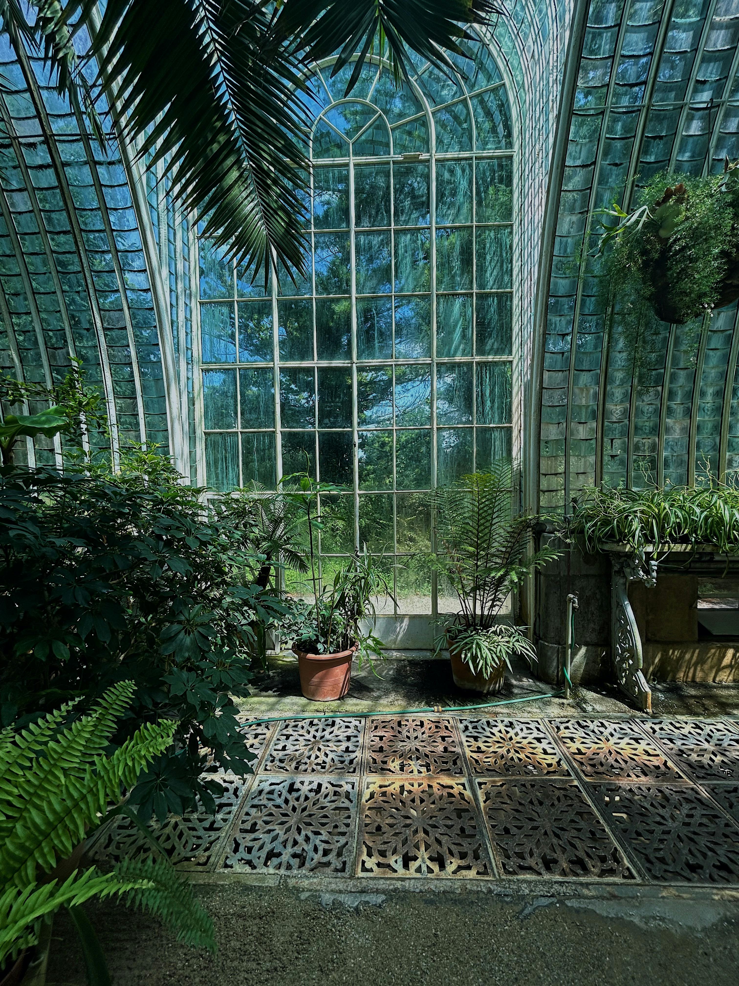 Photograph of Greenhouse · Free Stock Photo