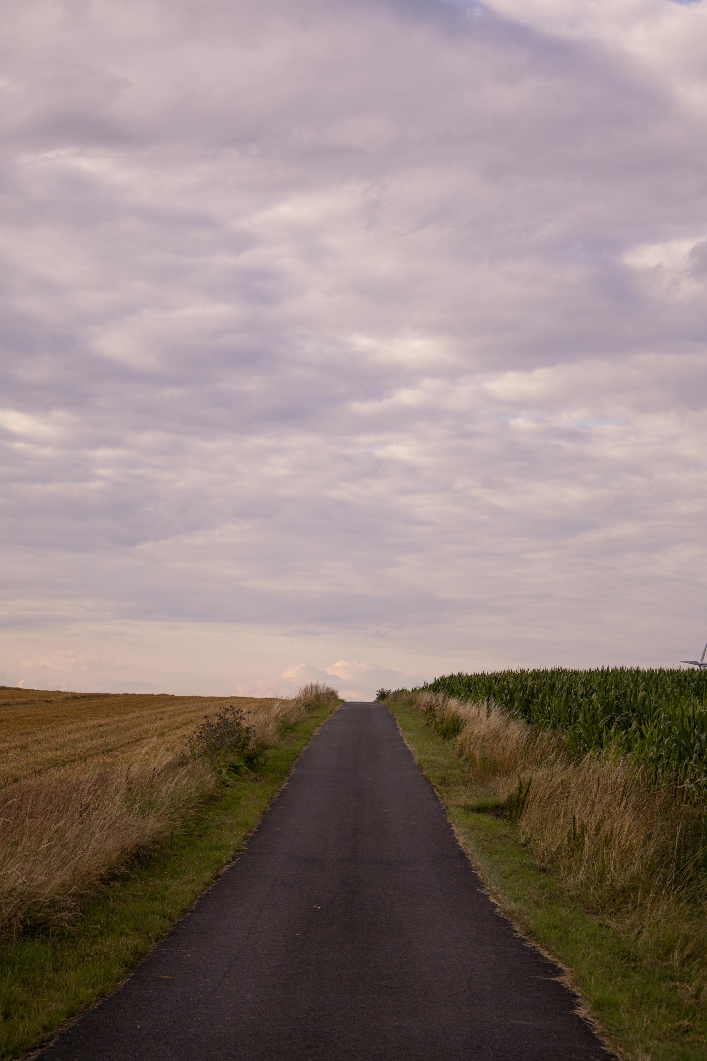 Gray Soil Road Near Field during Daytime Photo · Free Stock Photo