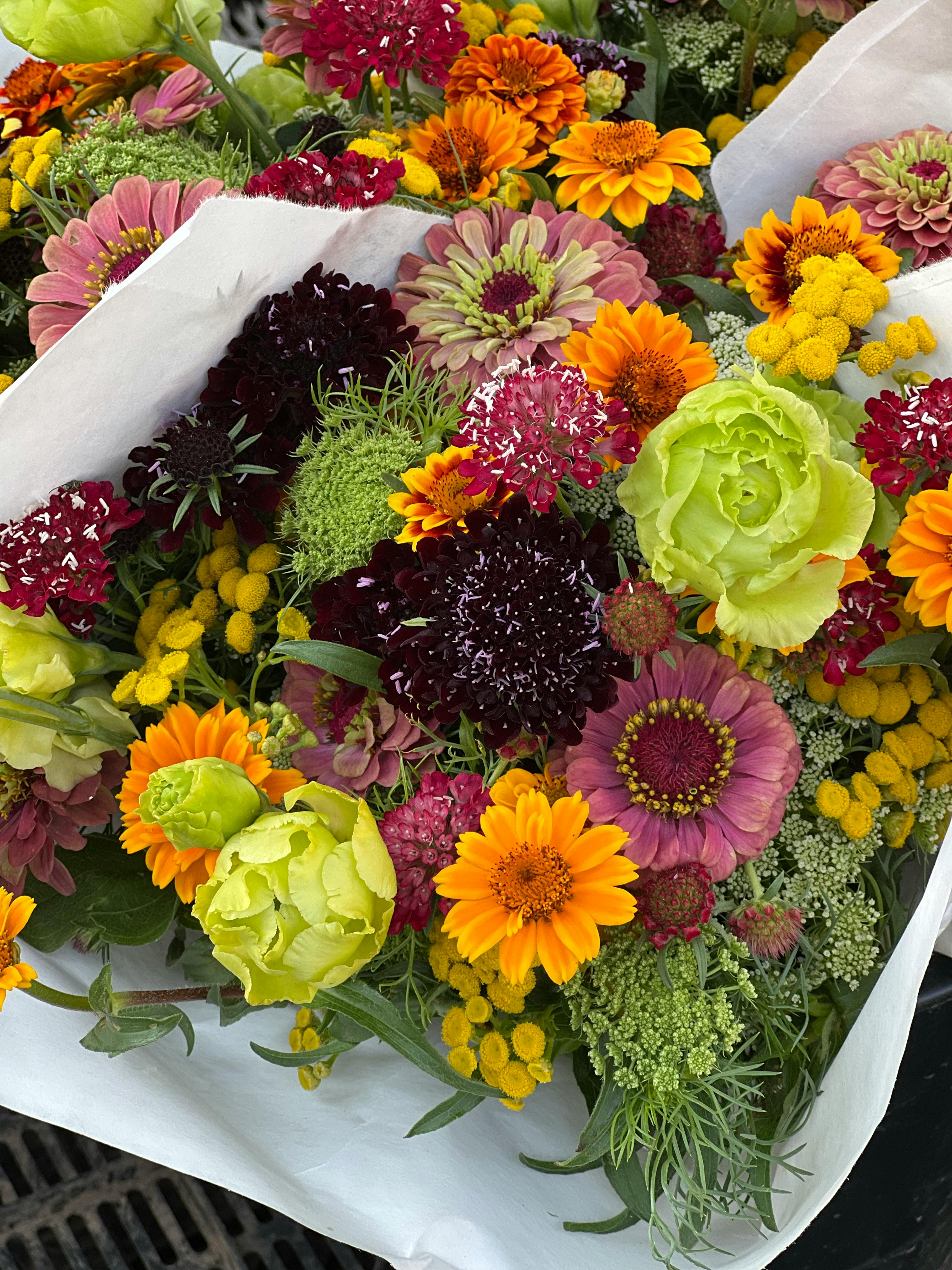 Close-Up Photo of Assorted Flowers · Free Stock Photo