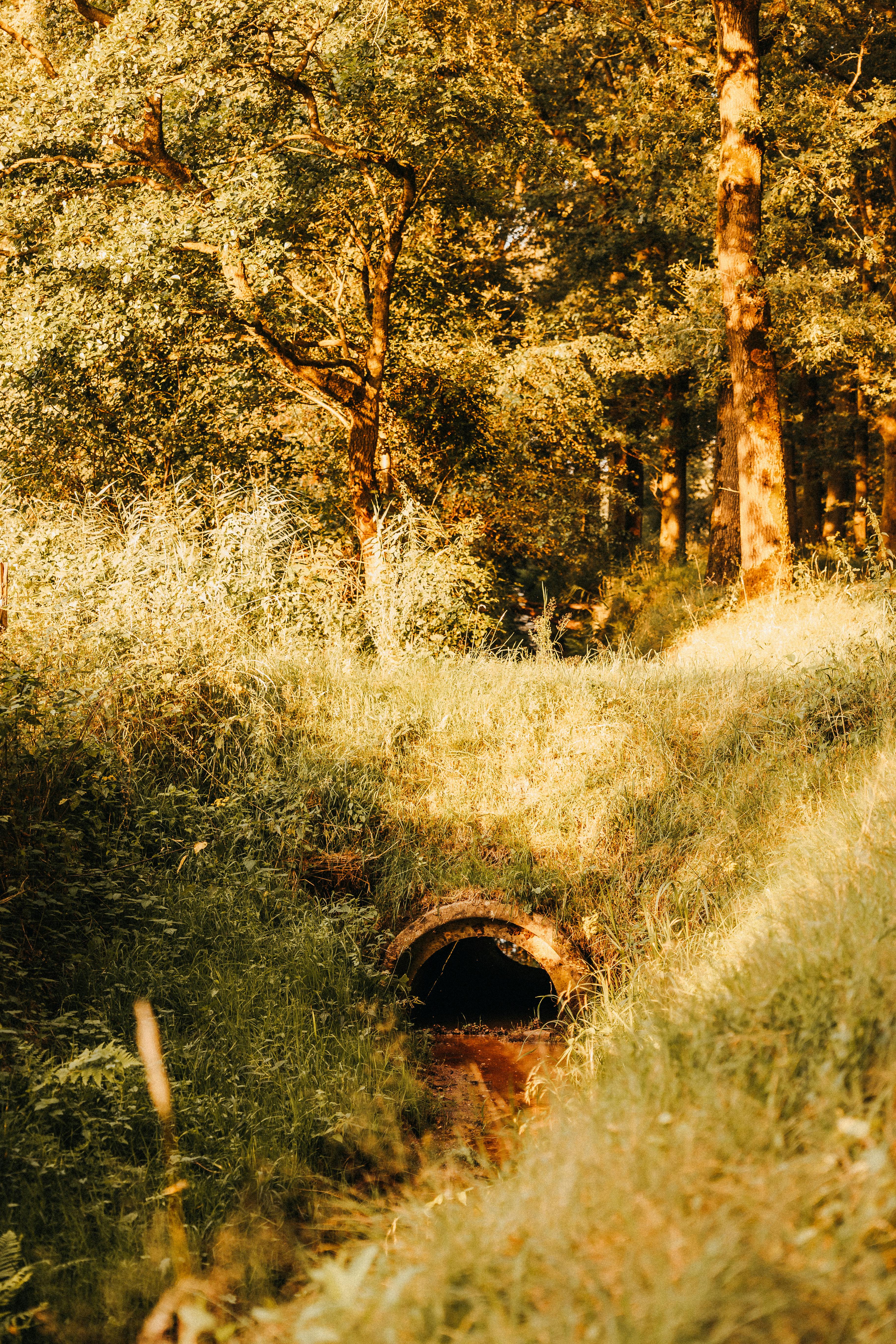 Culvert Photos, Download The BEST Free Culvert Stock Photos & HD Images
