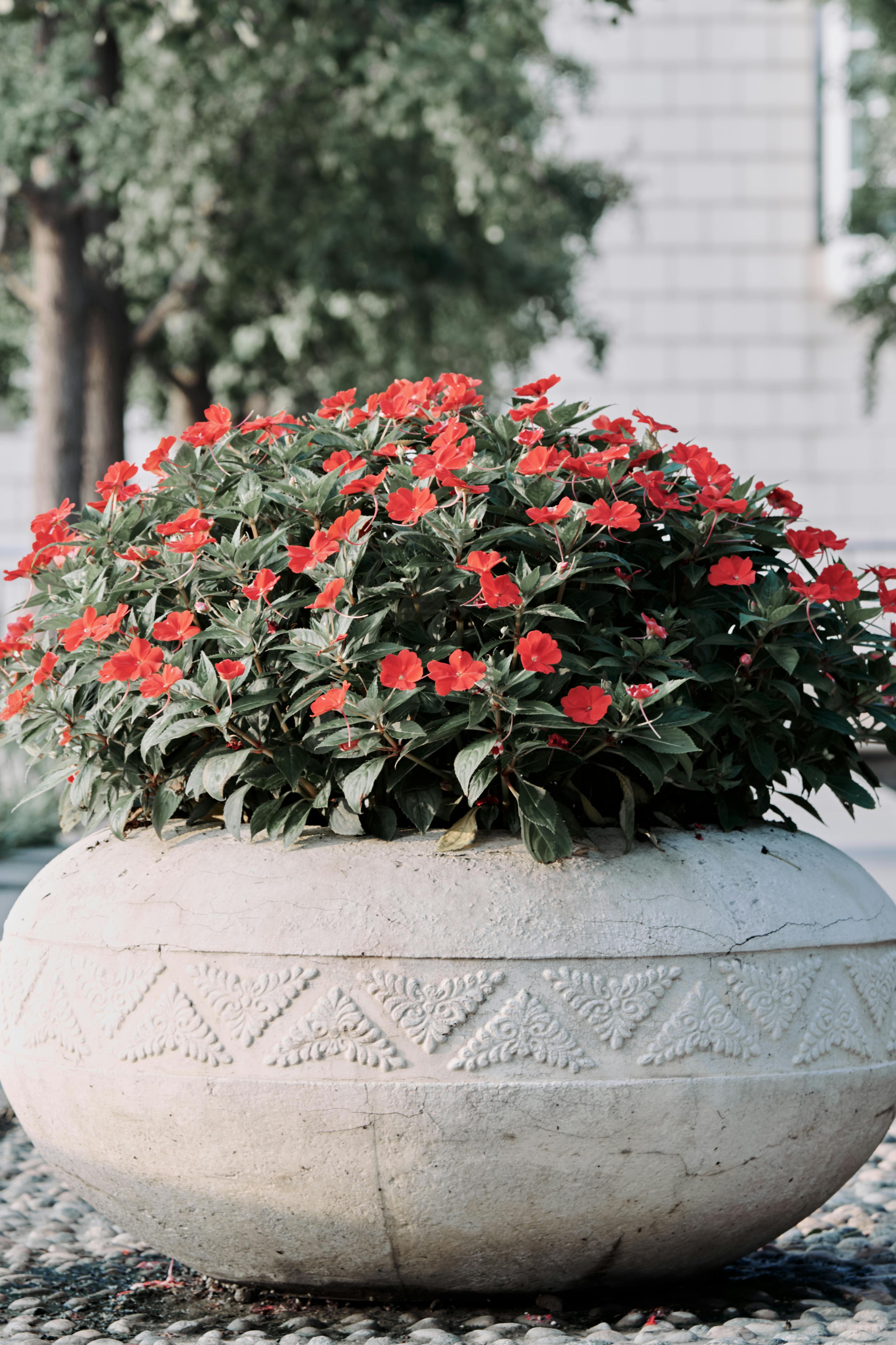 A large stone planter with red flowers · Free Stock Photo