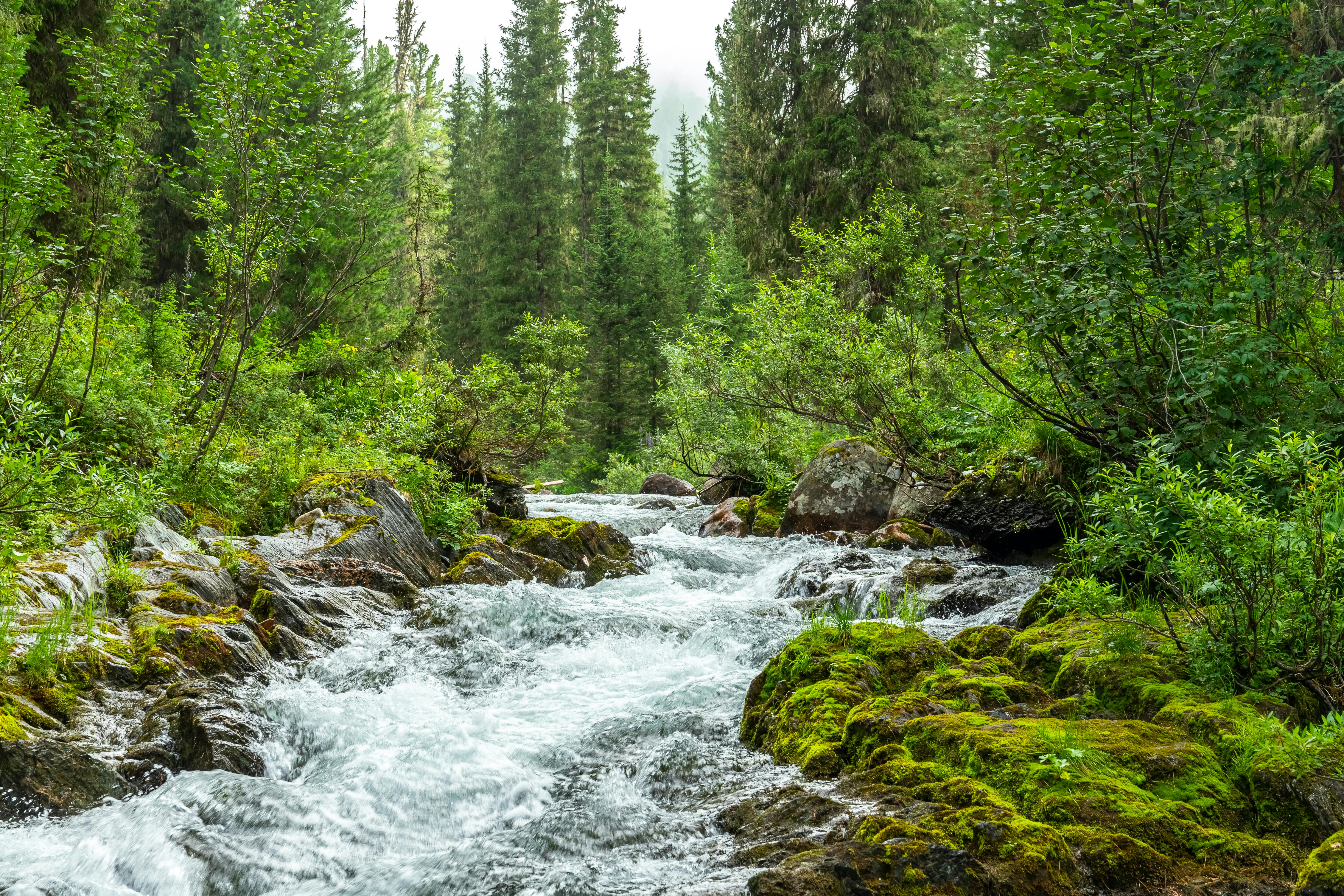 Landscape Photo of Waterfalls · Free Stock Photo